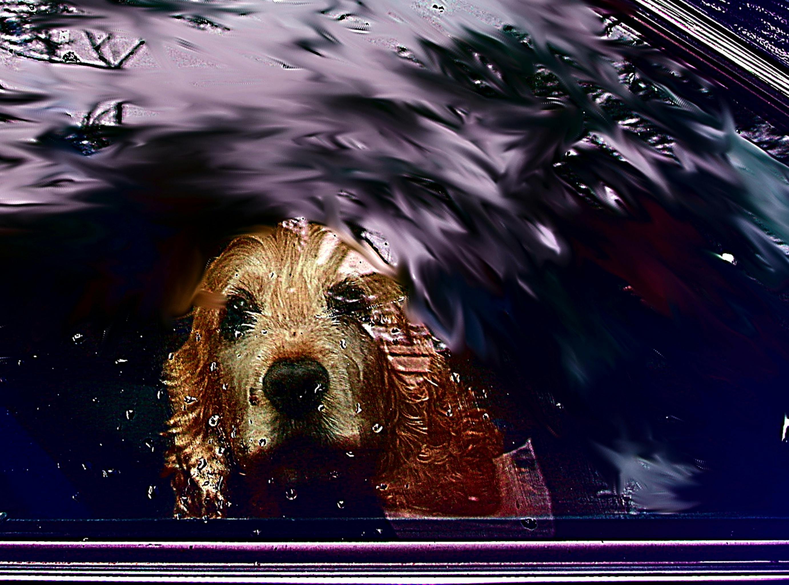 James Ranieri - 写真