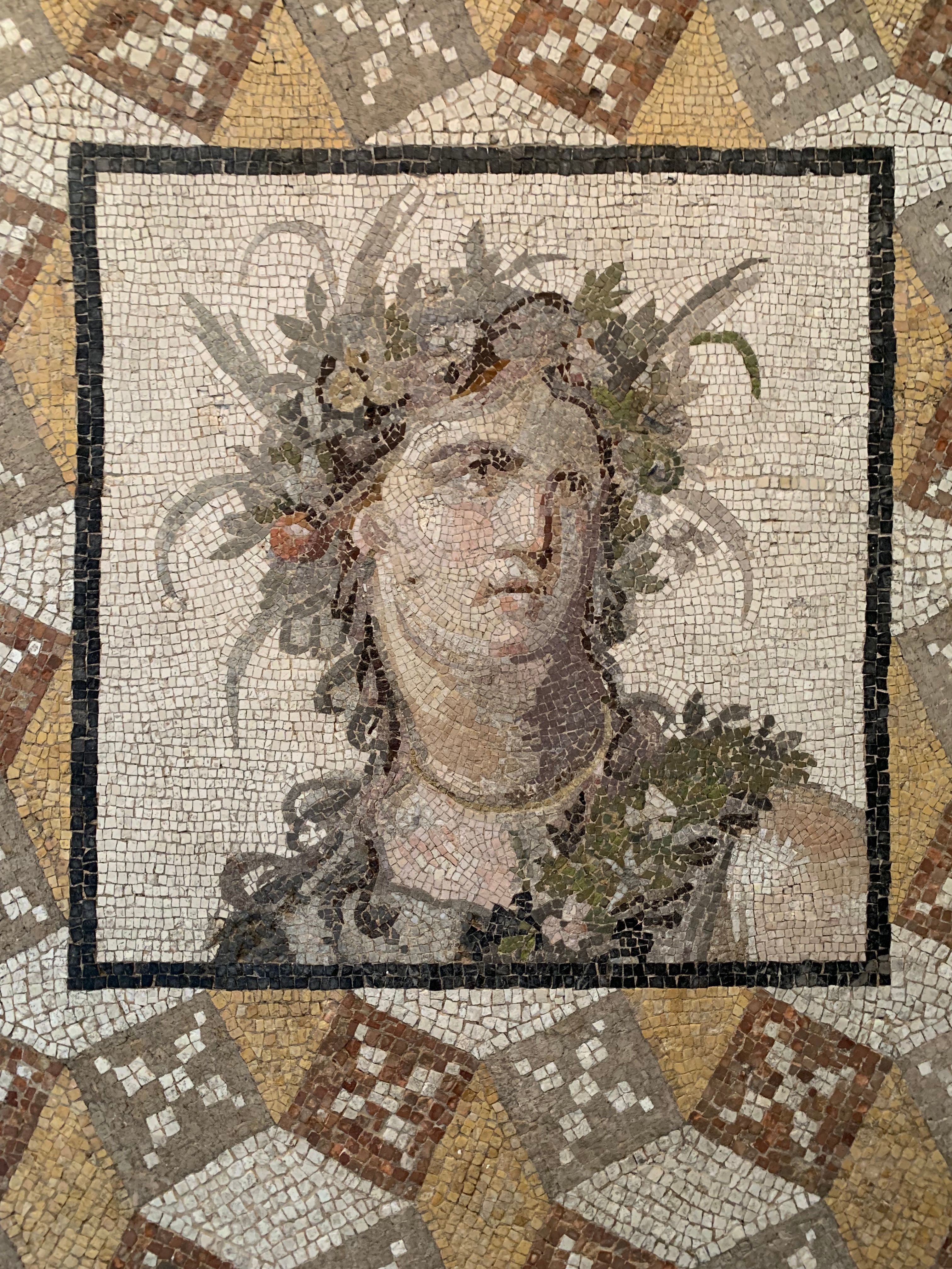 Ancient Roman Mosaic in Natural History Museum · Free Stock Photo