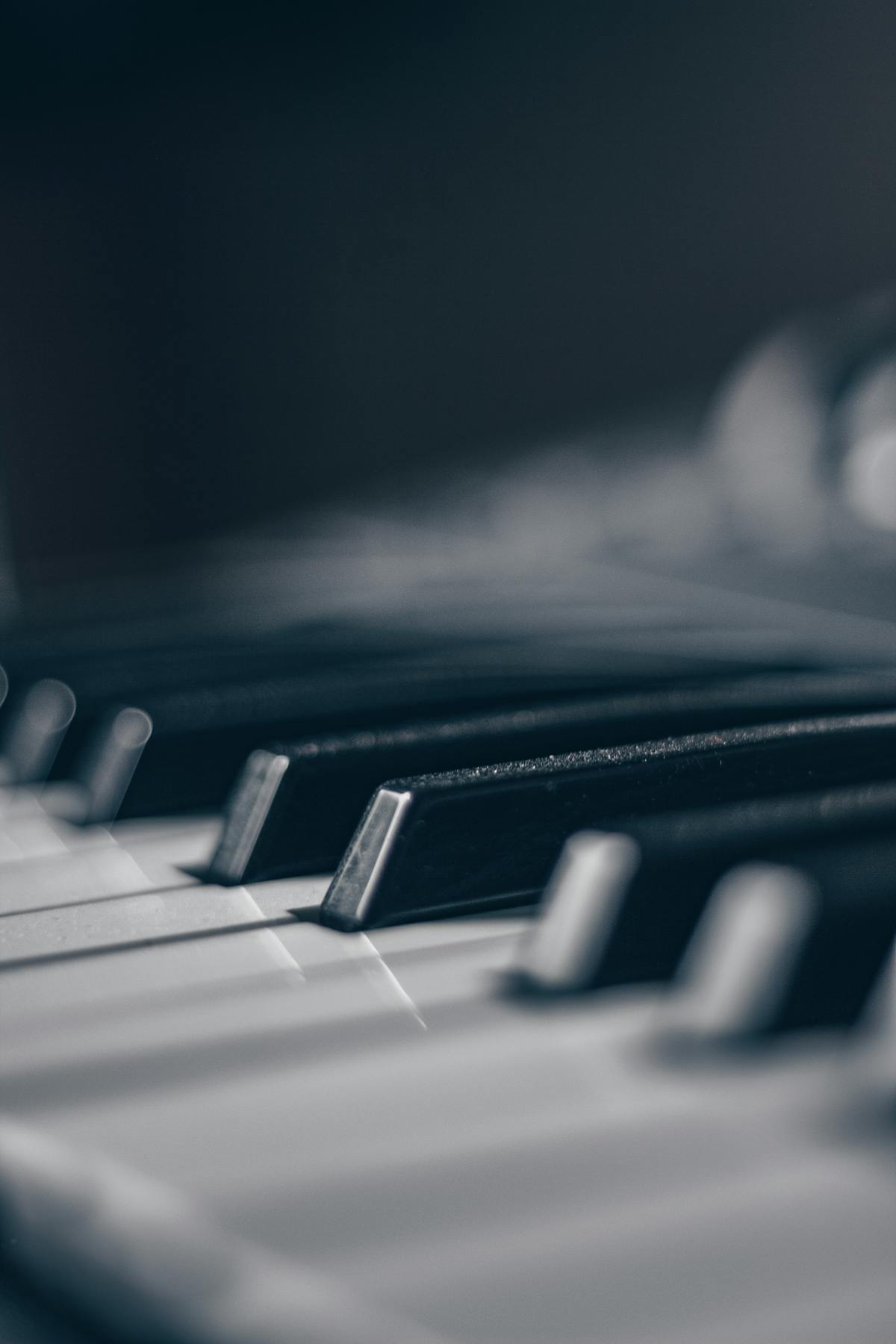 Keyboard Piano Photos, Download The BEST Free Keyboard Piano Stock ...