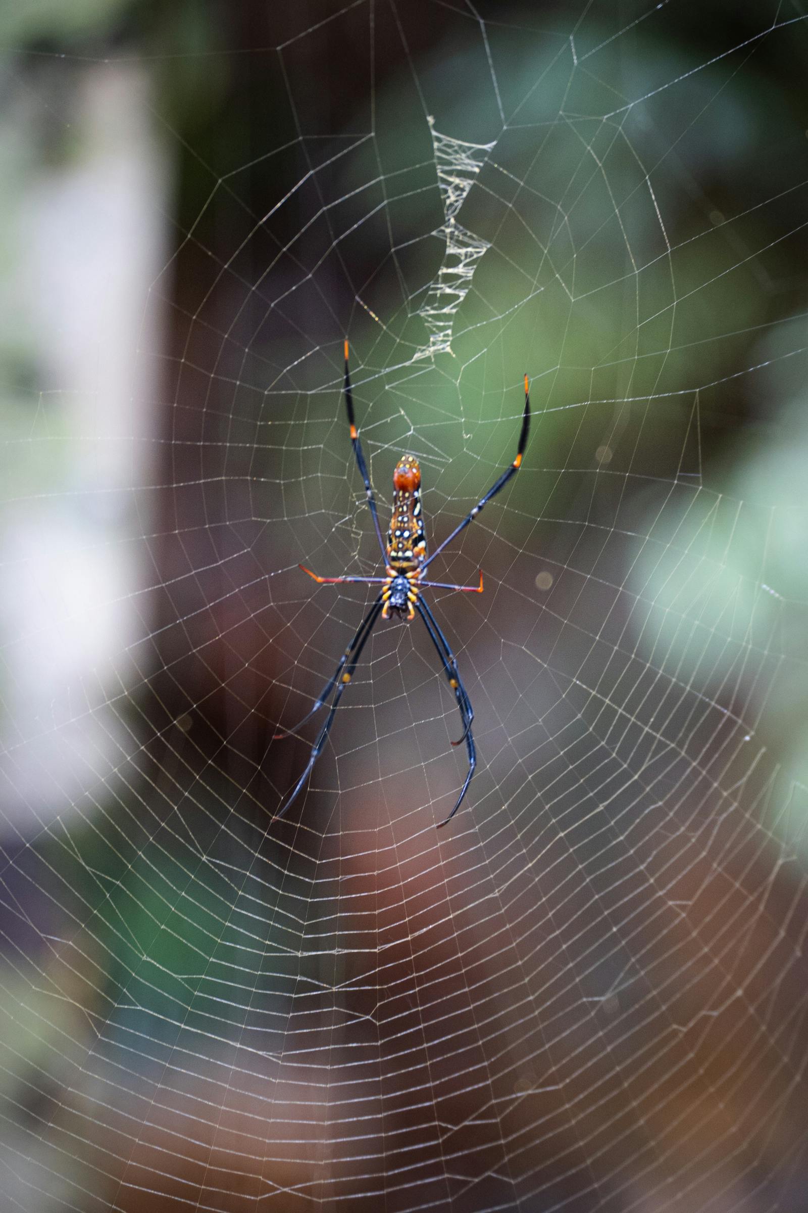 Web Cam Photos, Download The BEST Free Web Cam Stock Photos & HD Images