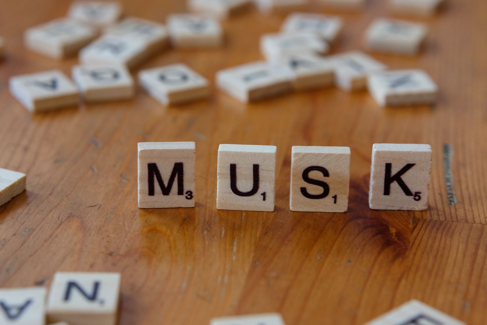 Elon Musk Salute Photos, Download The BEST Free Elon Musk Salute Stock ...