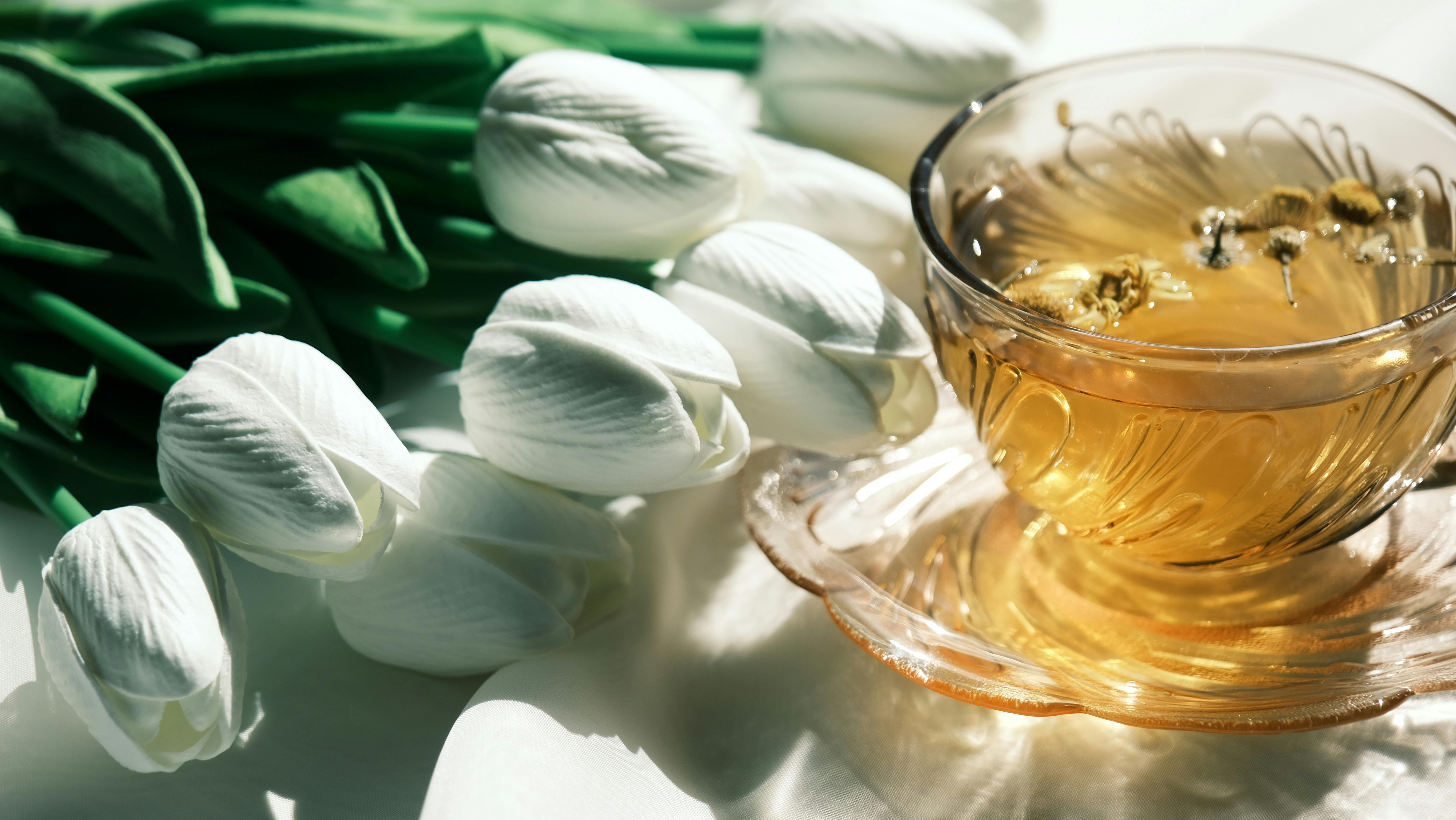 Elegant Tea Cup with White Tulips in Sunlight · Free Stock Photo