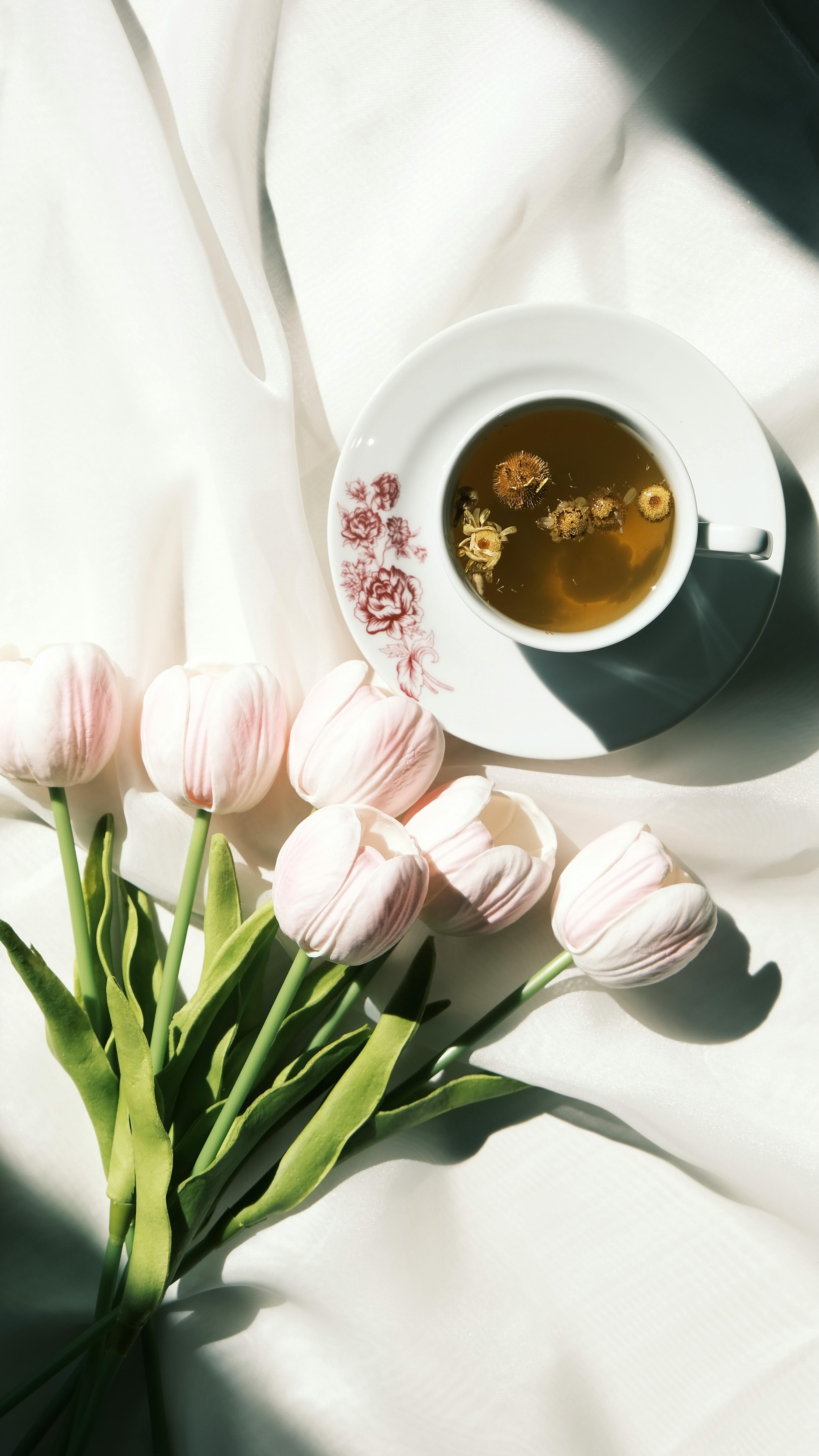 Elegant Tea Cup with Delicate Tulips in Sunlight · Free Stock Photo