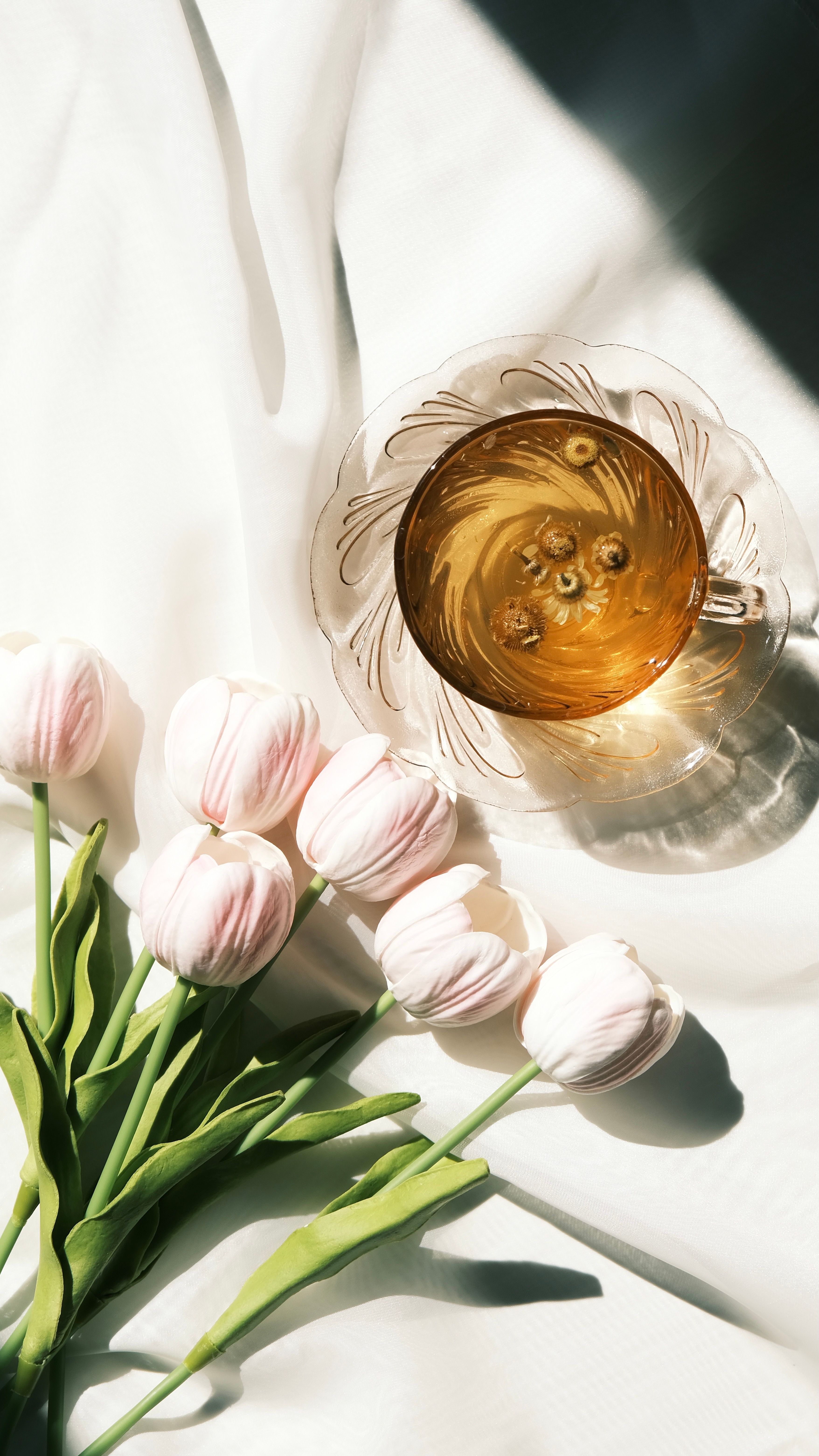 Tea Leaf Divination Photos, Download The BEST Free Tea Leaf Divination ...