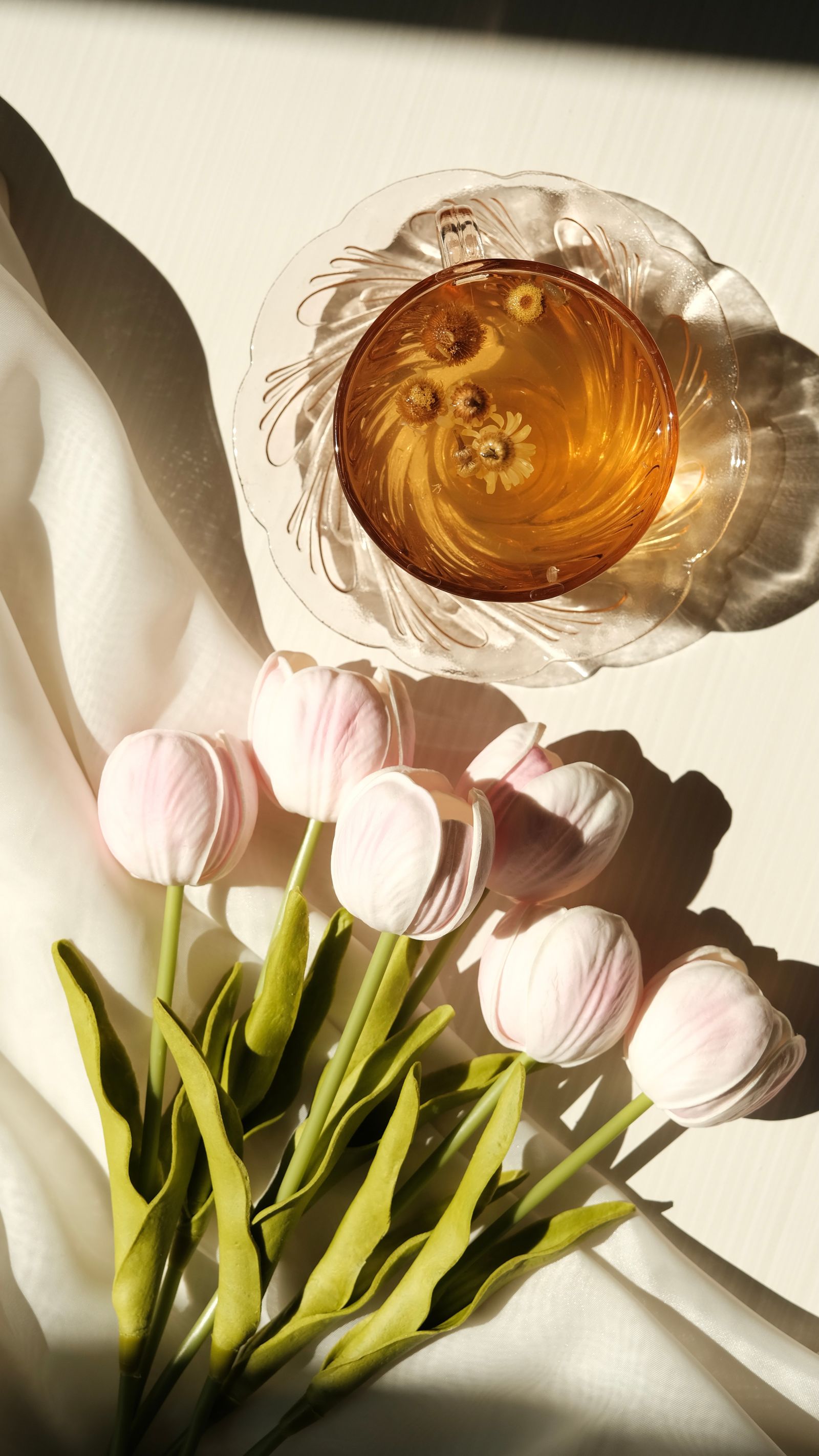 Morning Tea Photos, Download The BEST Free Morning Tea Stock Photos ...