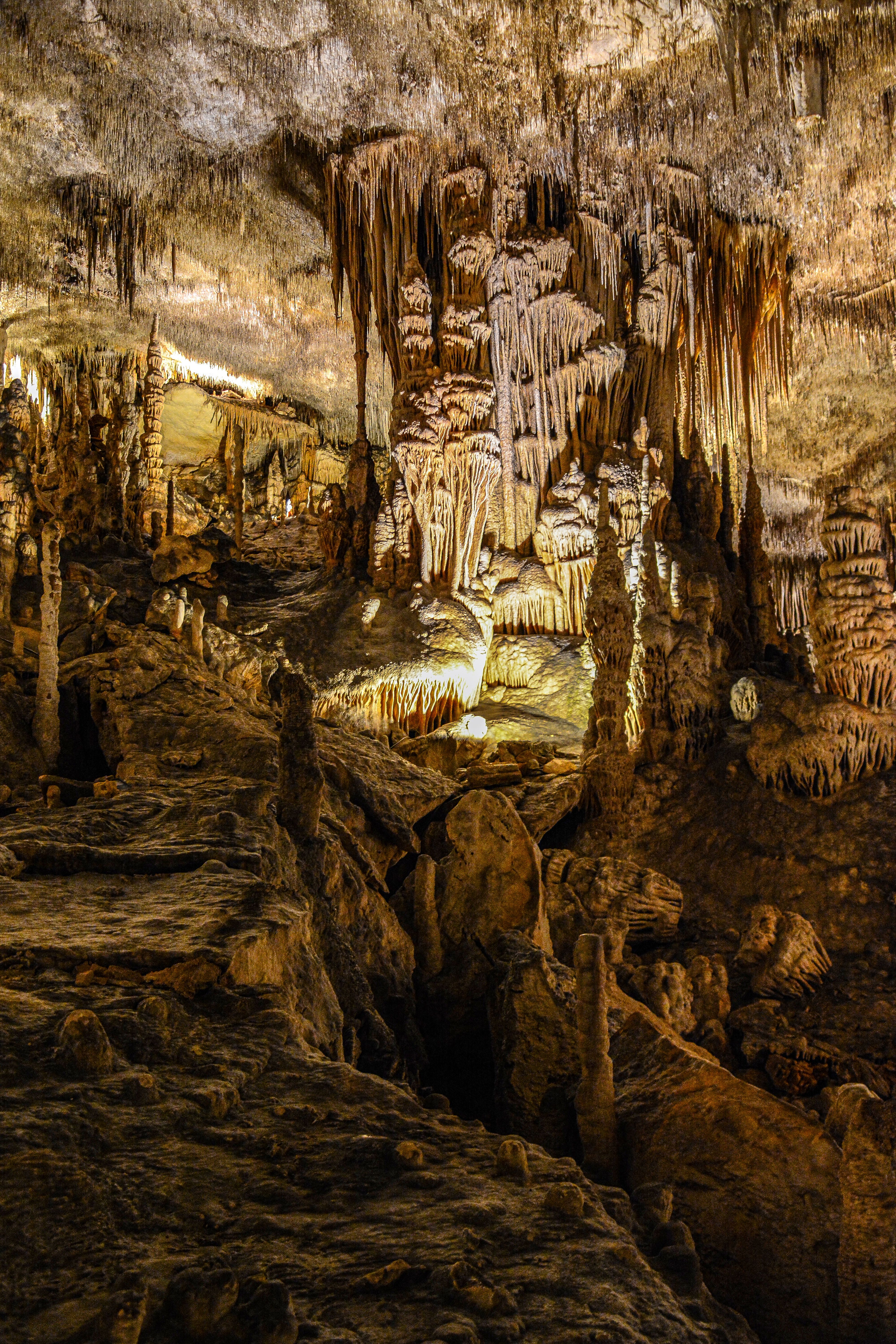 Escena Prehistoric Photos, Download The BEST Free Escena Prehistoric ...