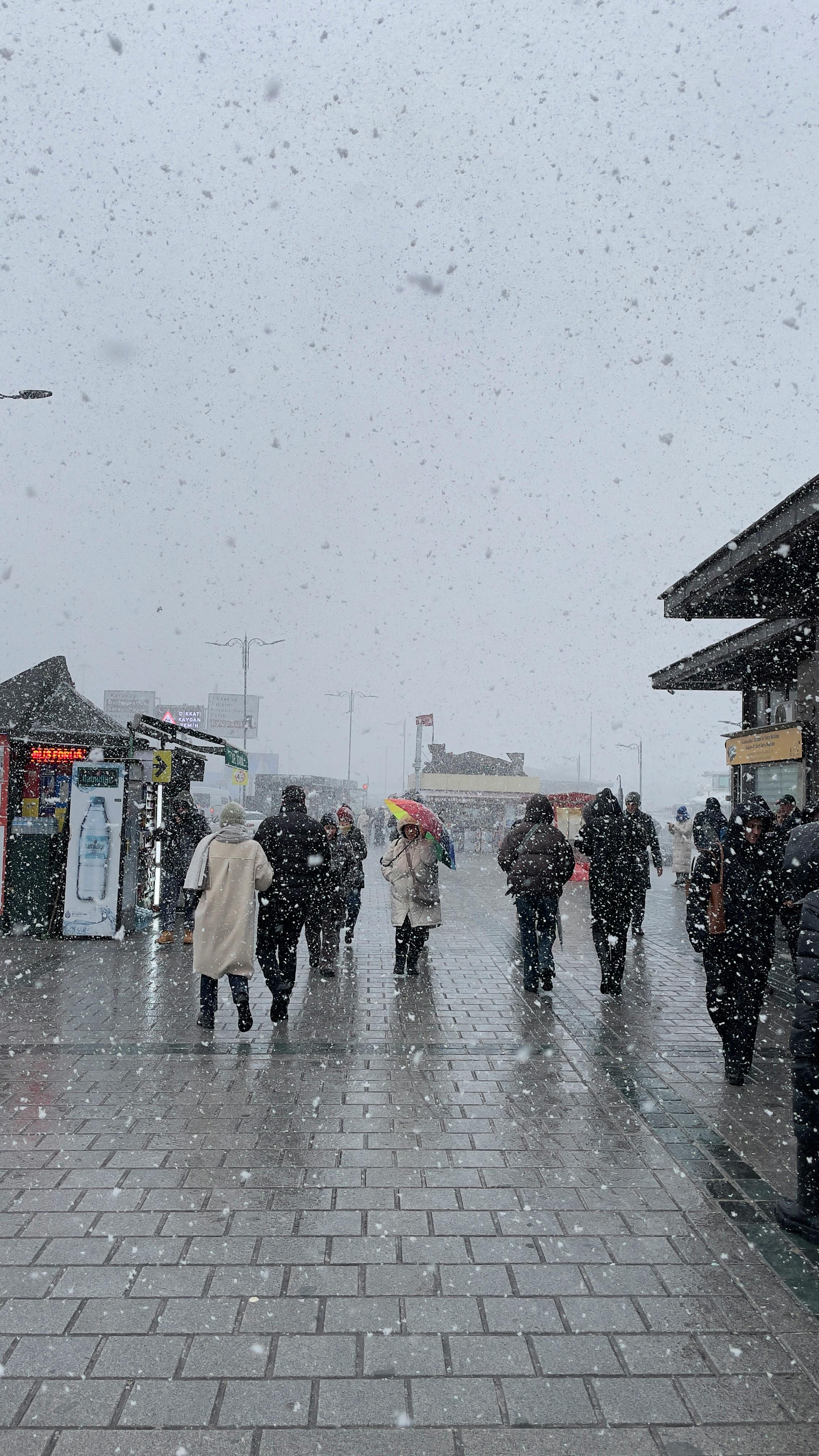 Umbrella Crowd Photos, Download The BEST Free Umbrella Crowd Stock ...