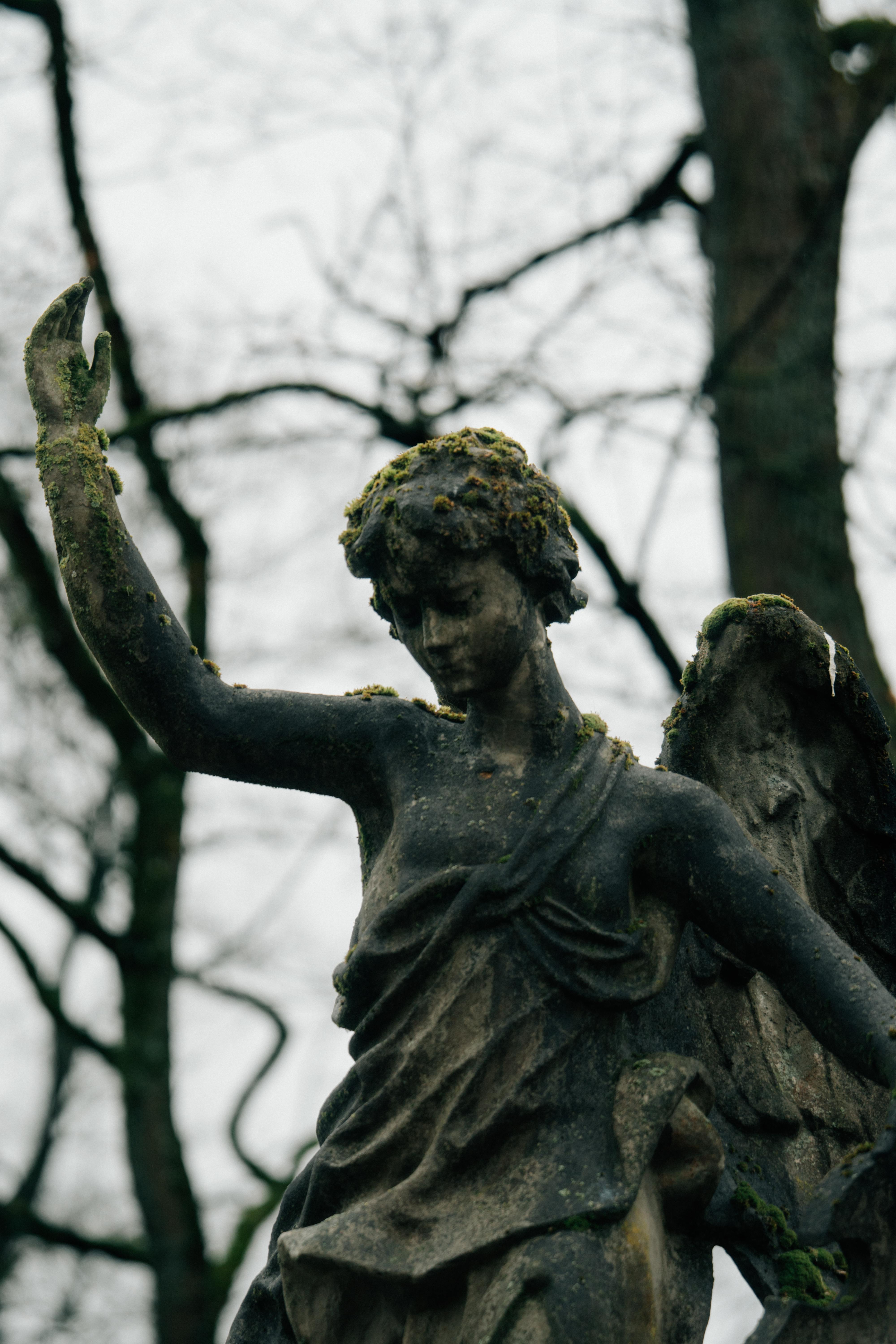 Angel Statue in Vilnius Cemetery · Free Stock Photo