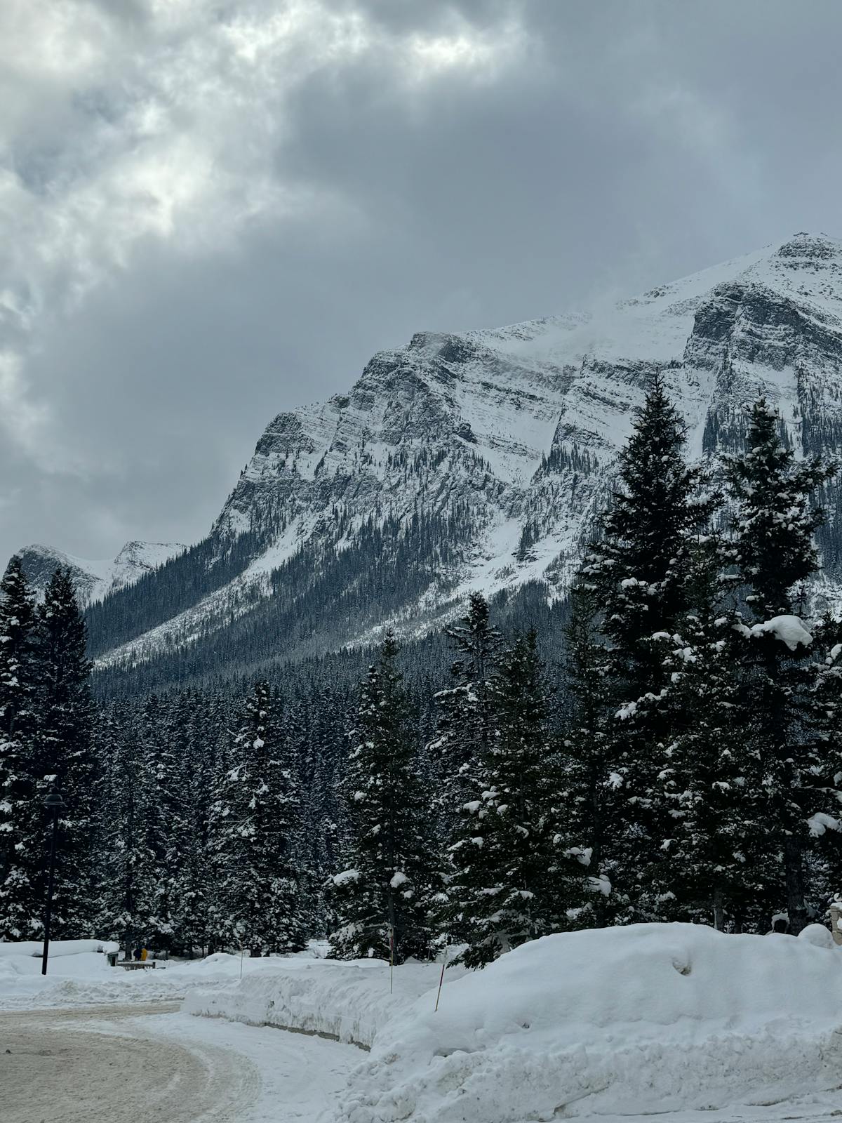 Snow Landscape Photos, Download The BEST Free Snow Landscape Stock ...