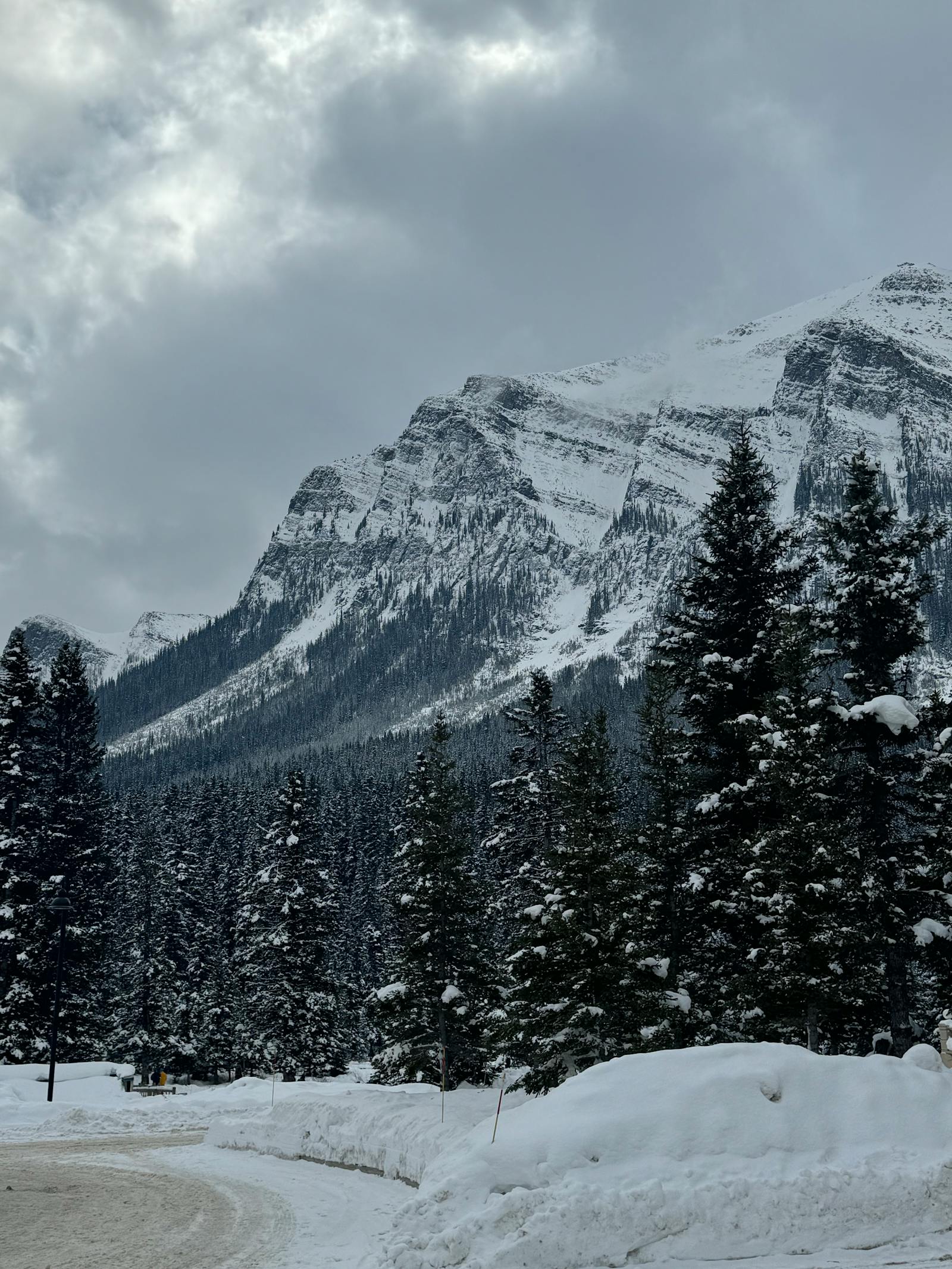 Snow Landscape Photos, Download The BEST Free Snow Landscape Stock ...