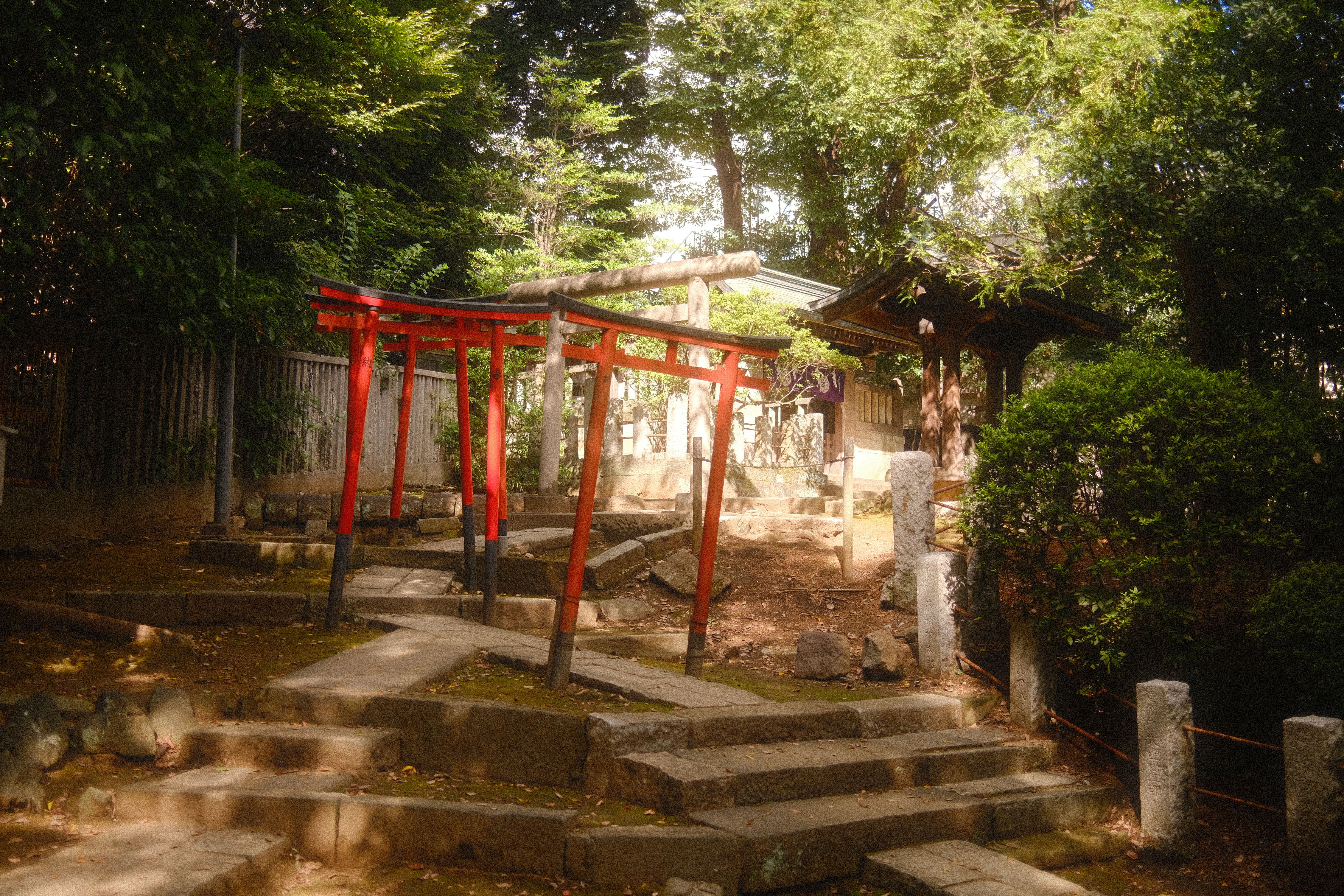 Serene Pathway at a Traditional Tokyo Shrine · Free Stock Photo