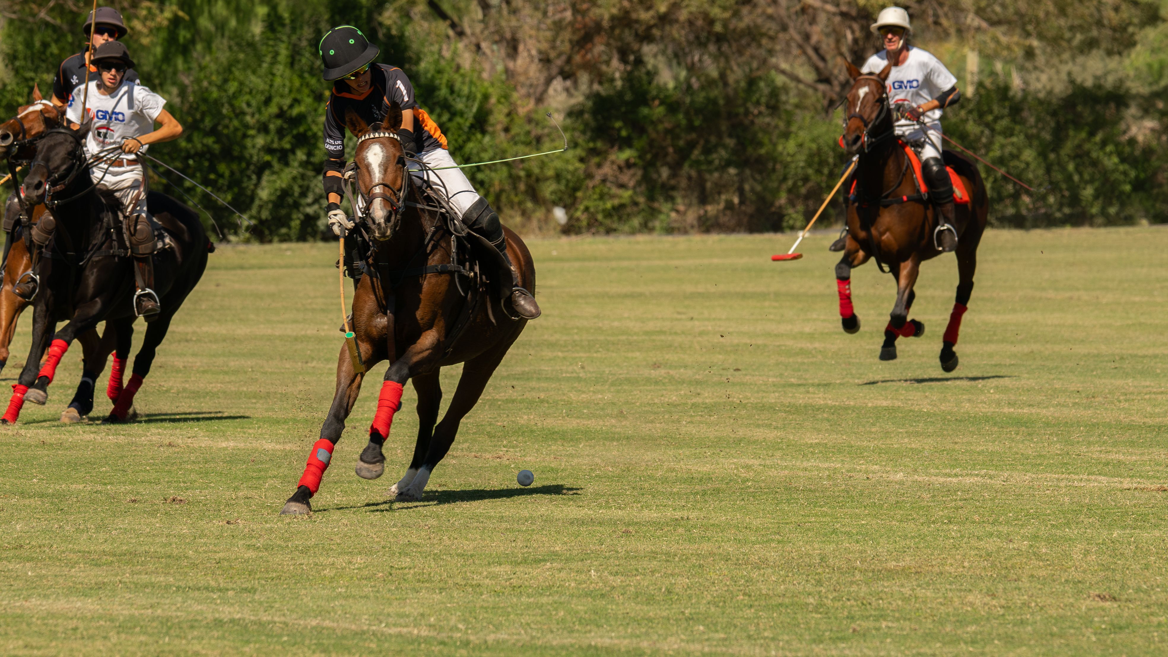 Exciting Polo Match on Sunny Field · Free Stock Photo