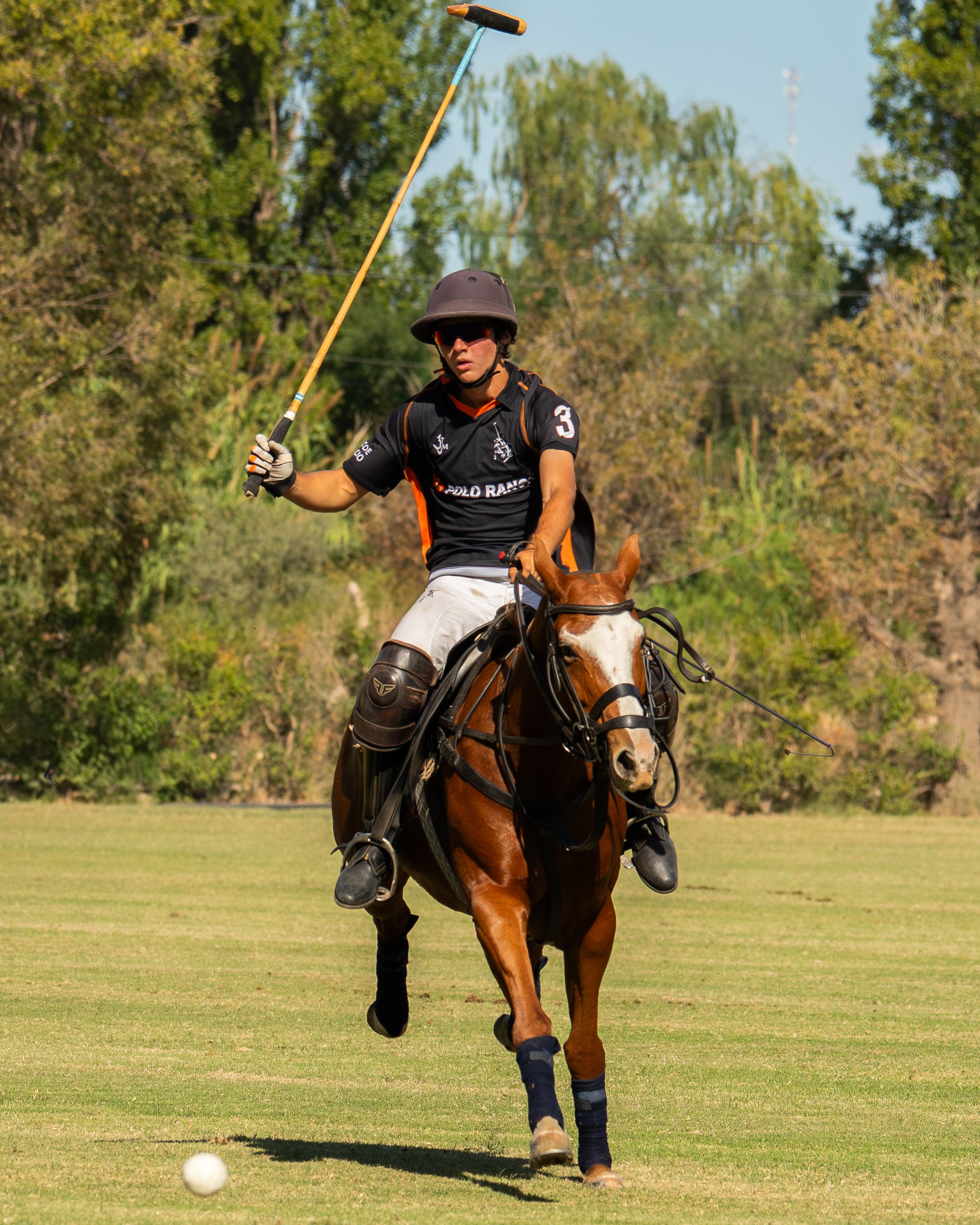 Polo Player in Action on Green Field · Free Stock Photo
