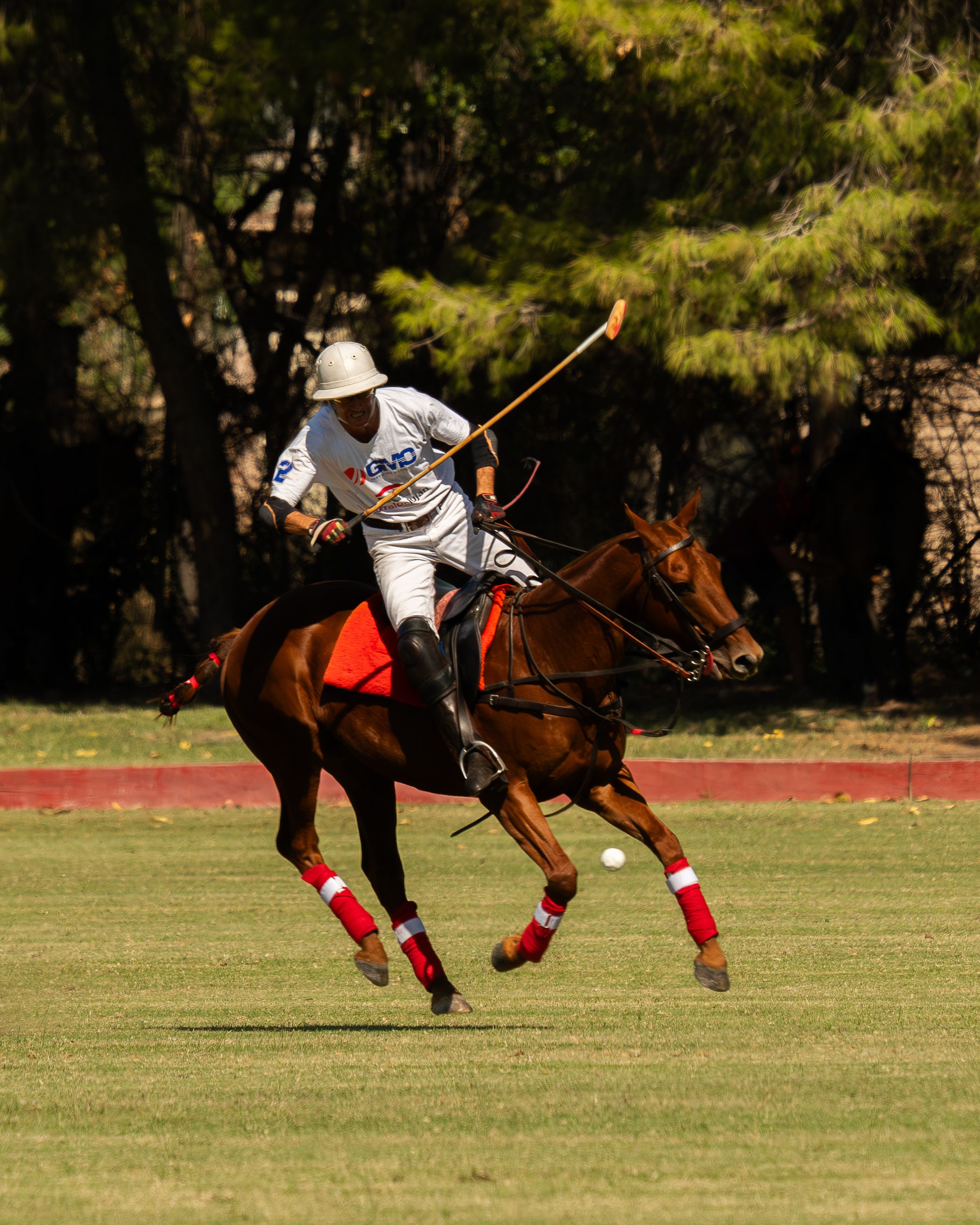 Polo Player in Action on Field on Sunny Day · Free Stock Photo