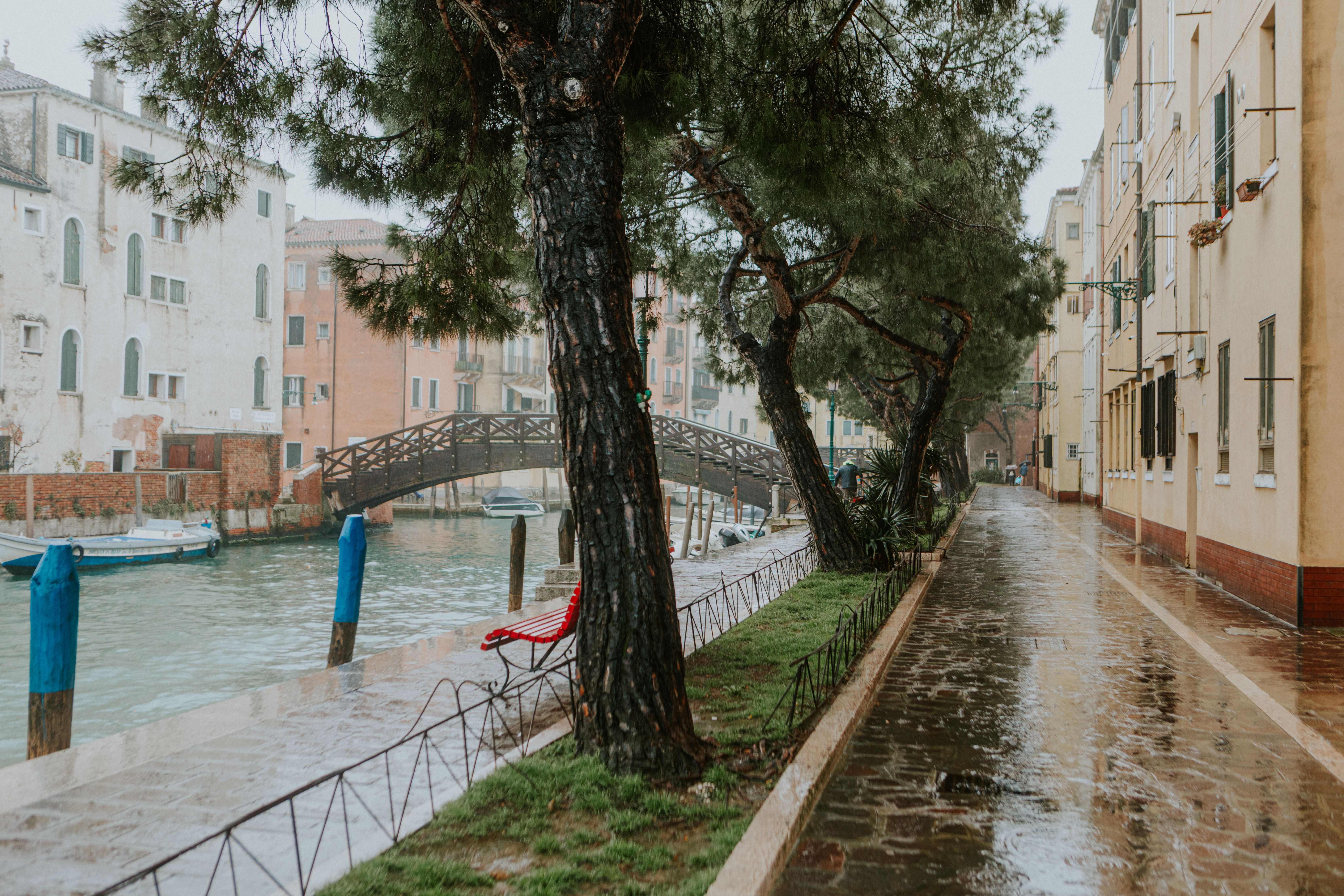 Scenic Venice canal with bridge and rainy pathway view · Free Stock Photo
