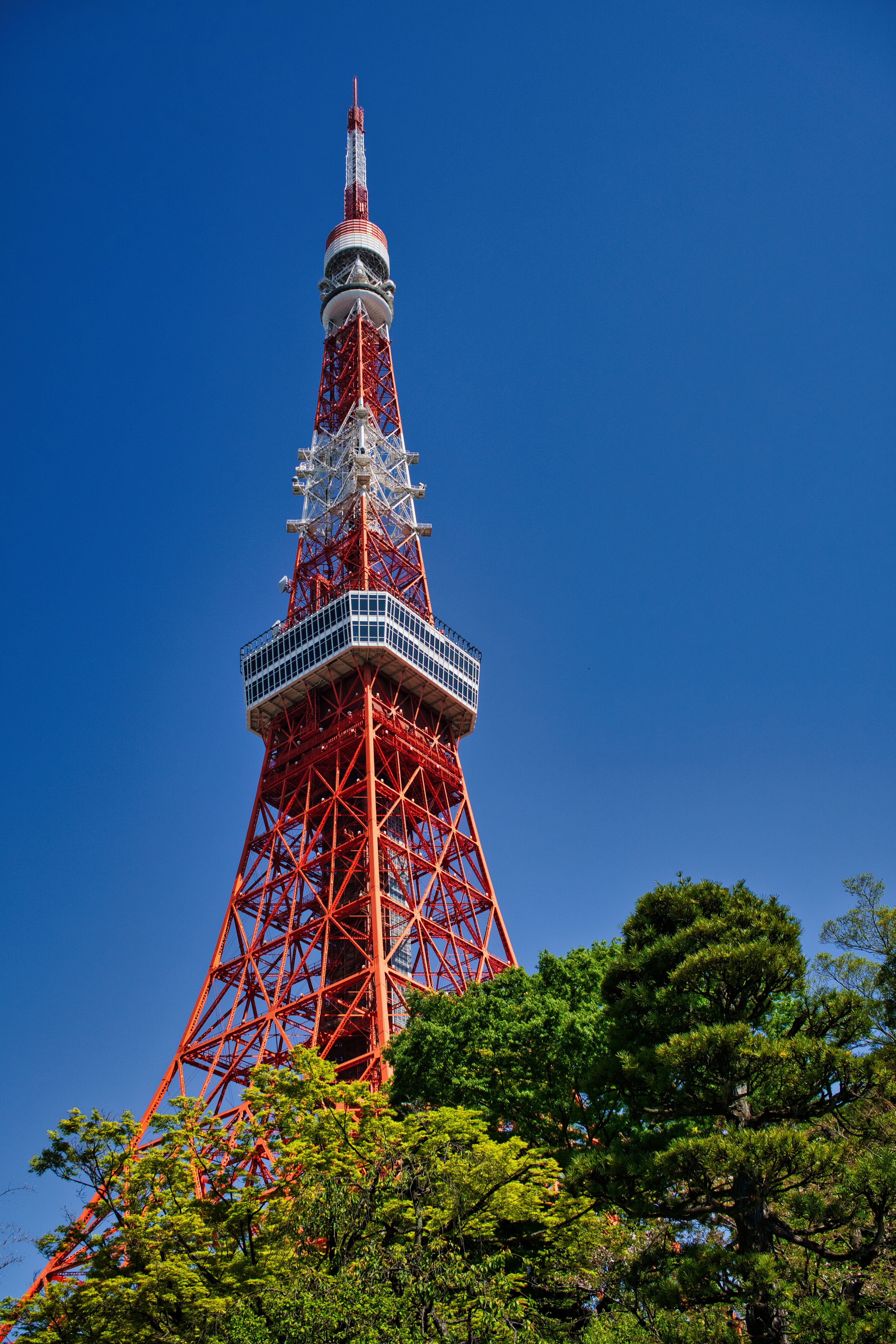 Majestic View of Tokyo Tower Under Clear Blue Sky · Free Stock Photo