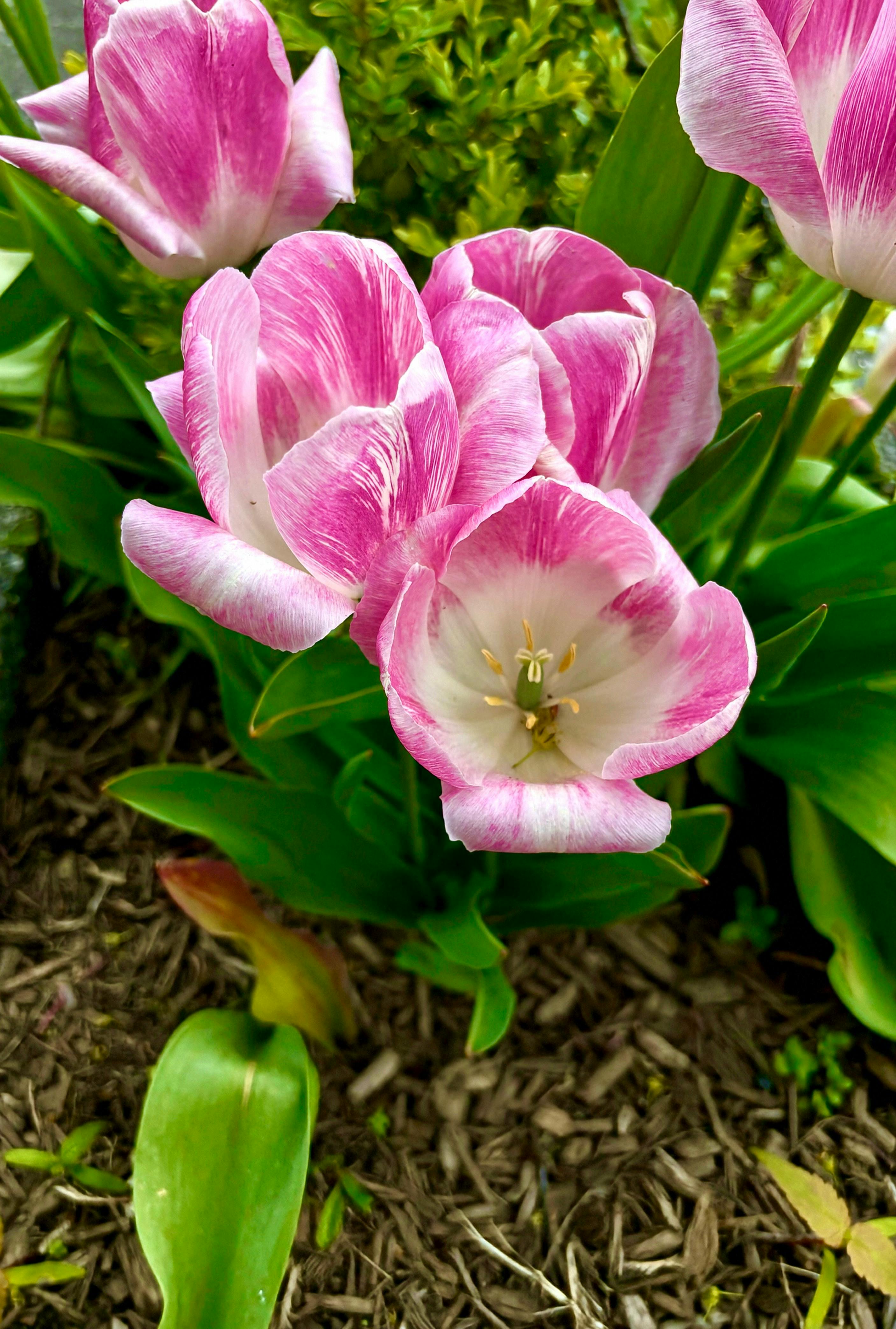 Colleen Lord - Photography