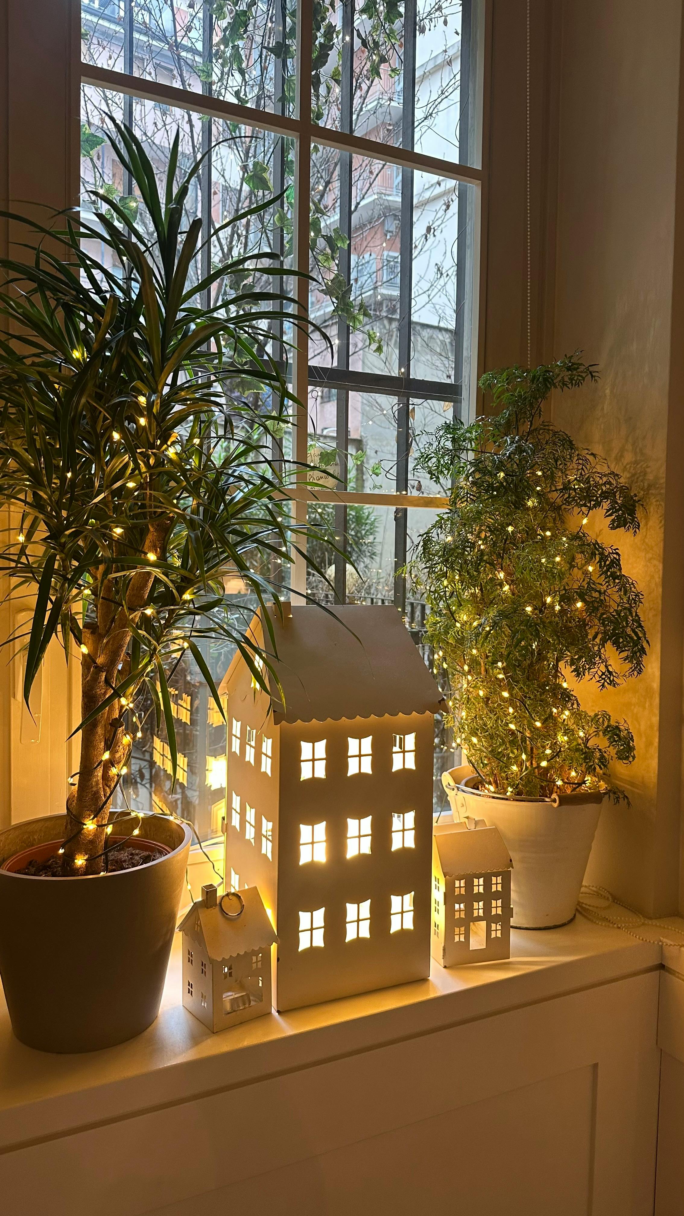 Mini Barrage Photos, Download The BEST Free Mini Barrage Stock Photos ...