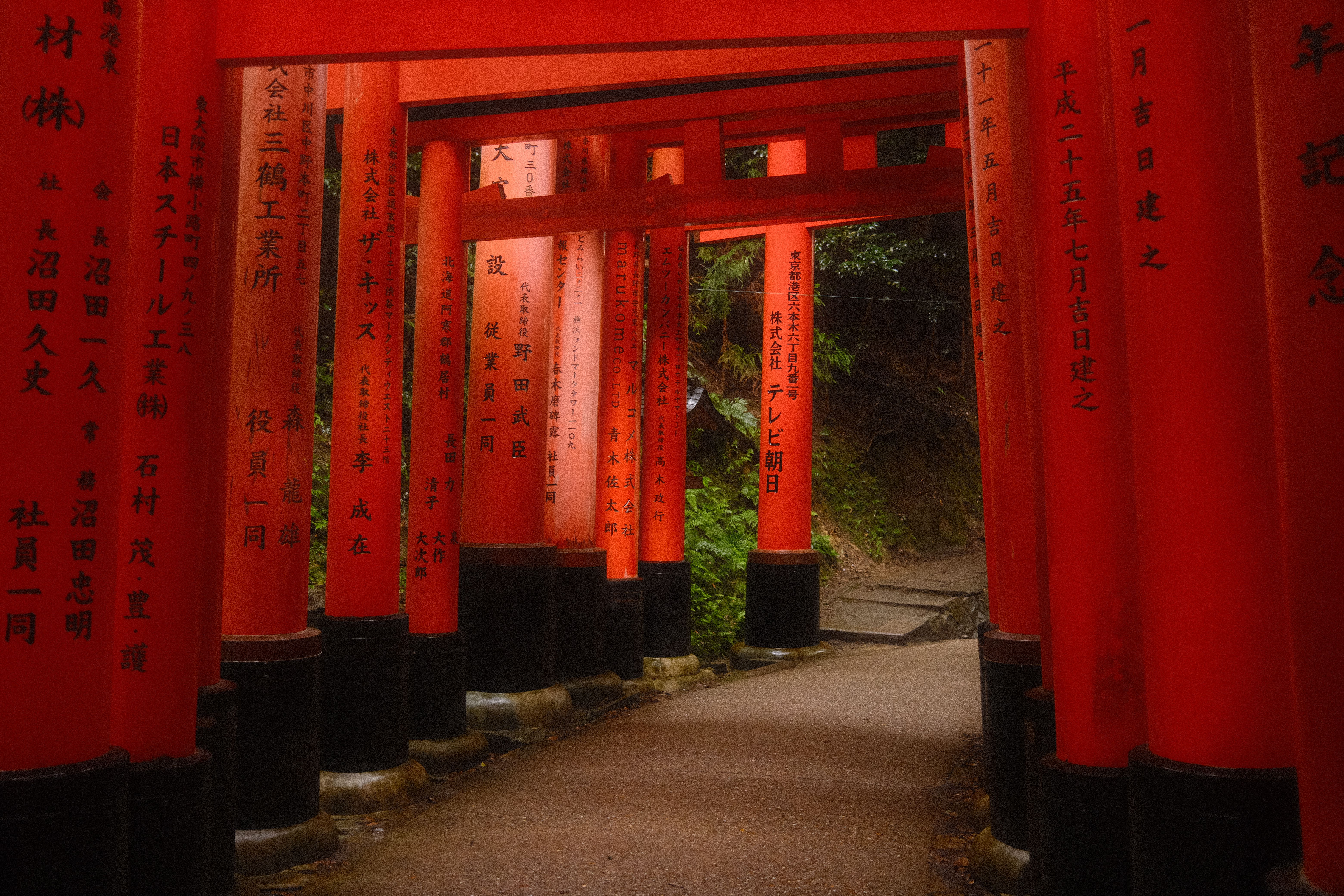 Red Torii Gates at Fushimi Inari Shrine in Kyoto · Free Stock Photo