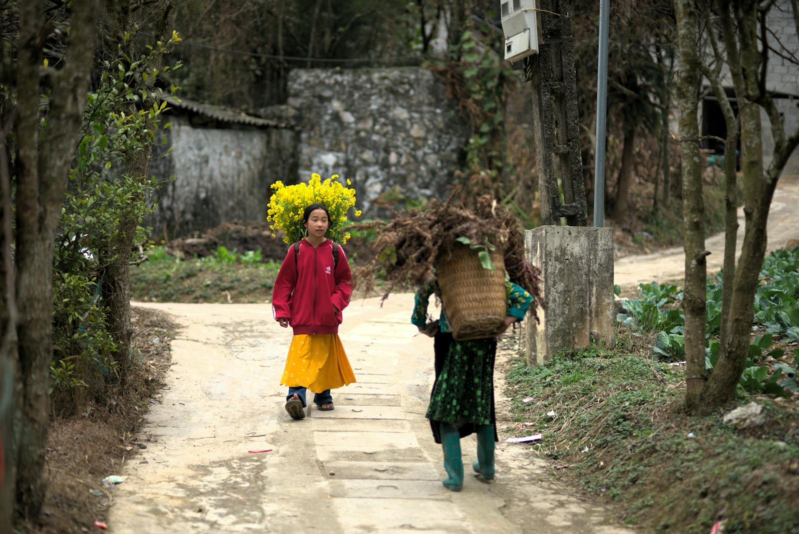 Daily Routine Photos, Download The BEST Free Daily Routine Stock Photos ...