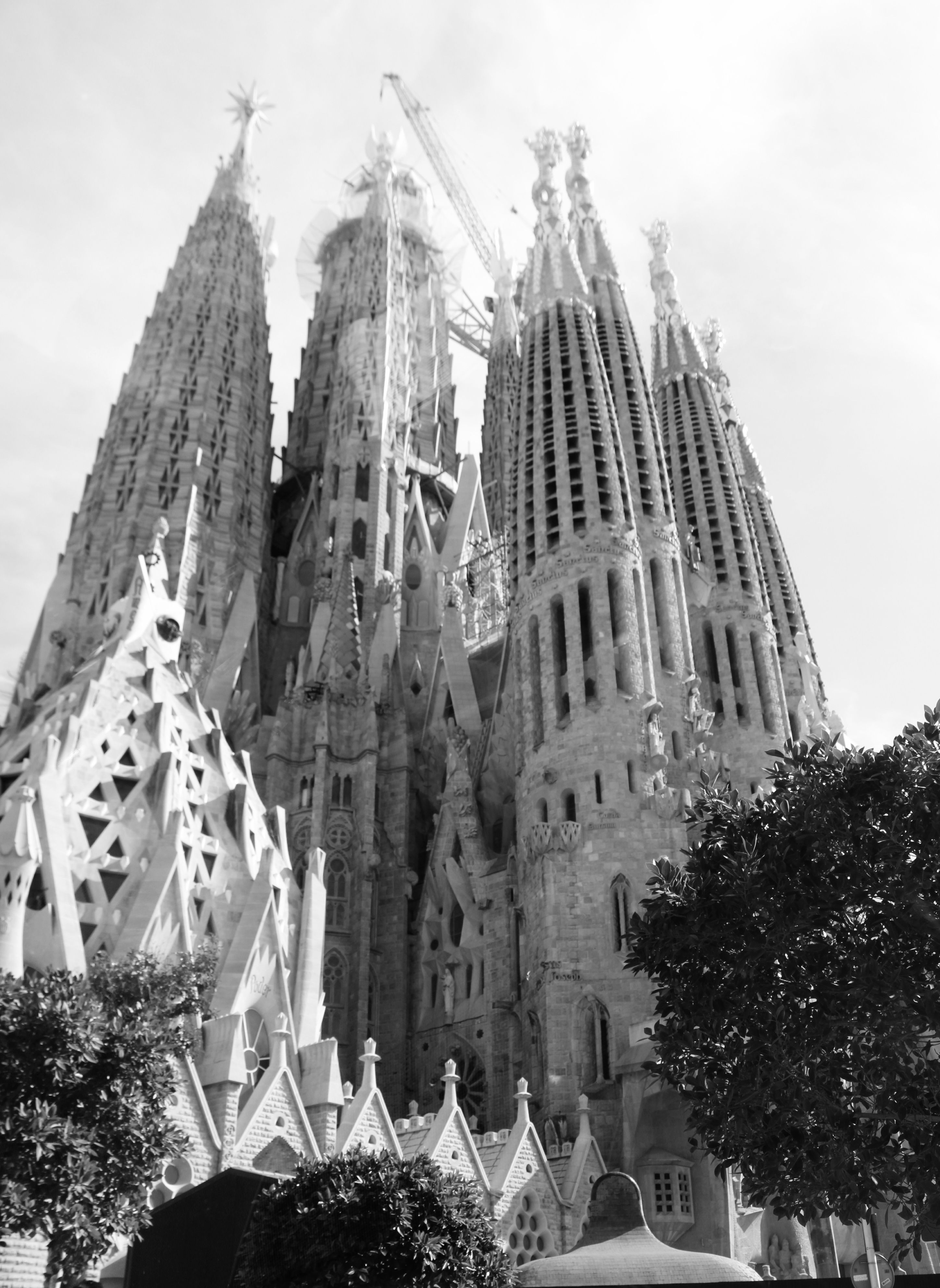 Sagrada Familia in Barcelona Architectural Masterpiece · Free Stock Photo