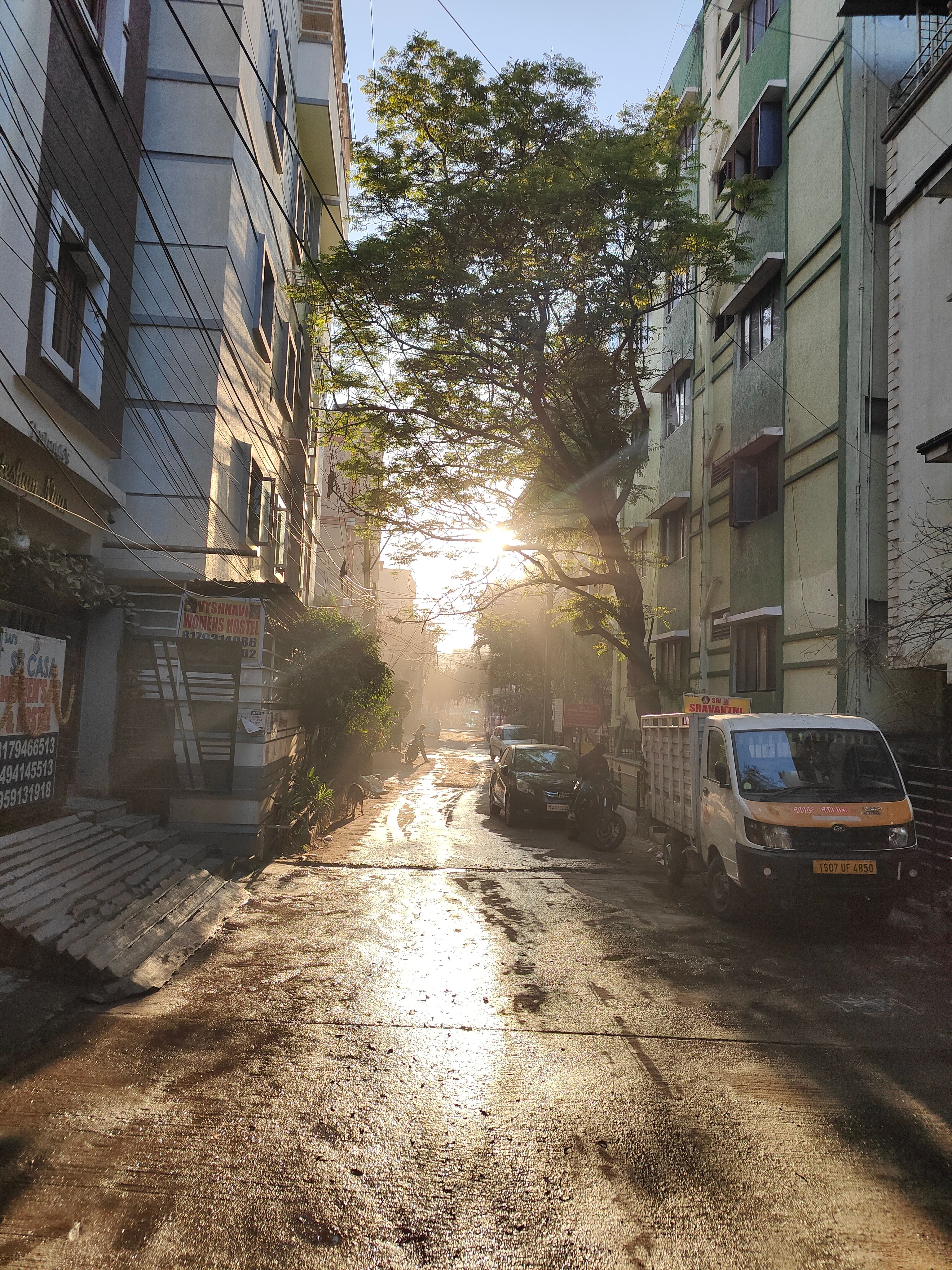 Urban Street Scene with Morning Sunlight · Free Stock Photo