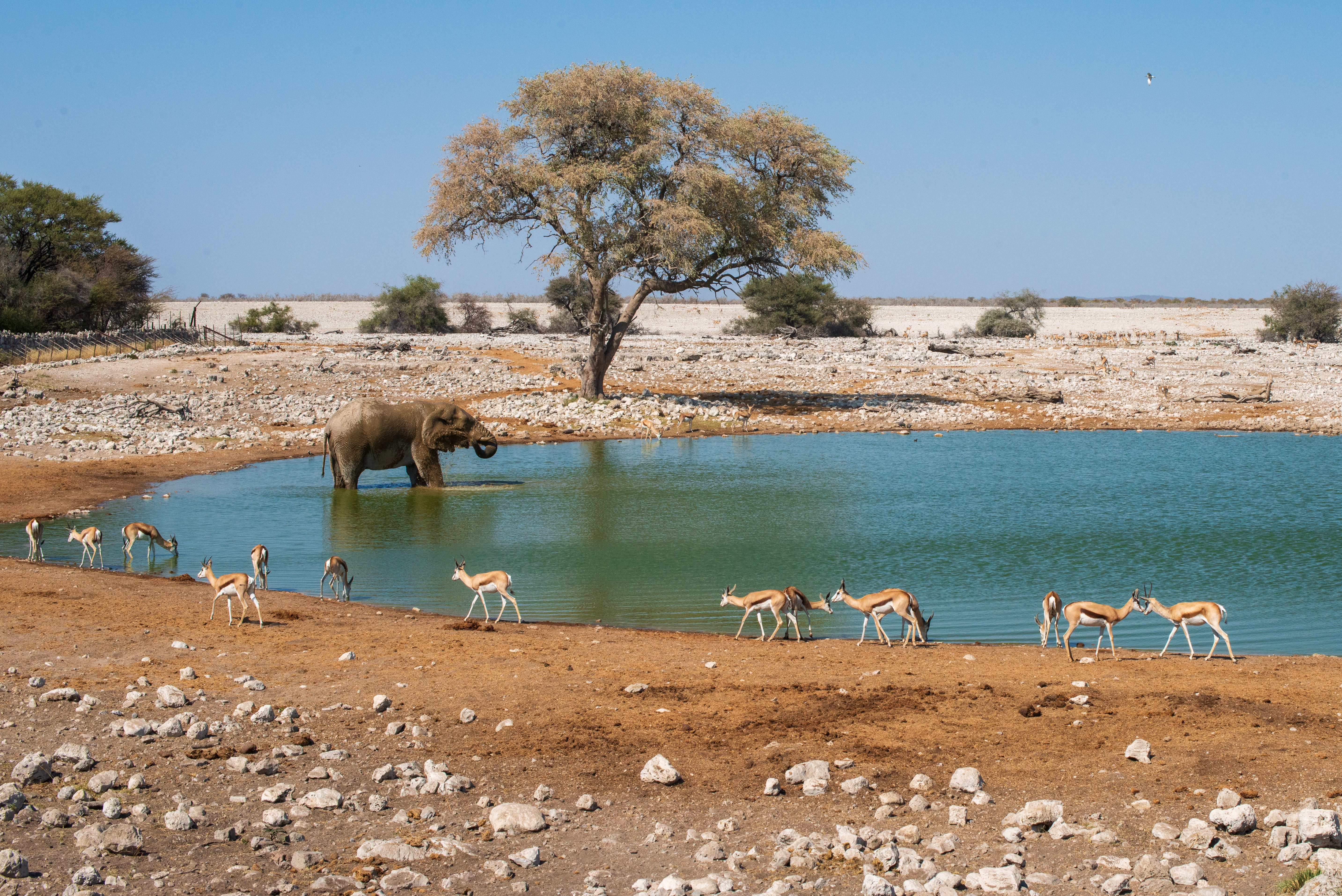 Playas De Namibia Photos, Download The BEST Free Playas De Namibia ...