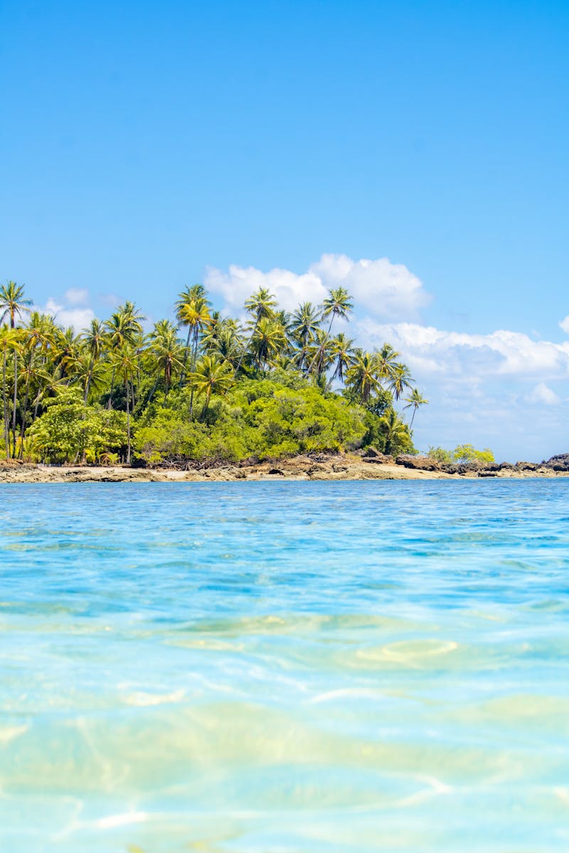 Oasis Photos, Download The BEST Free Oasis Stock Photos & HD Images