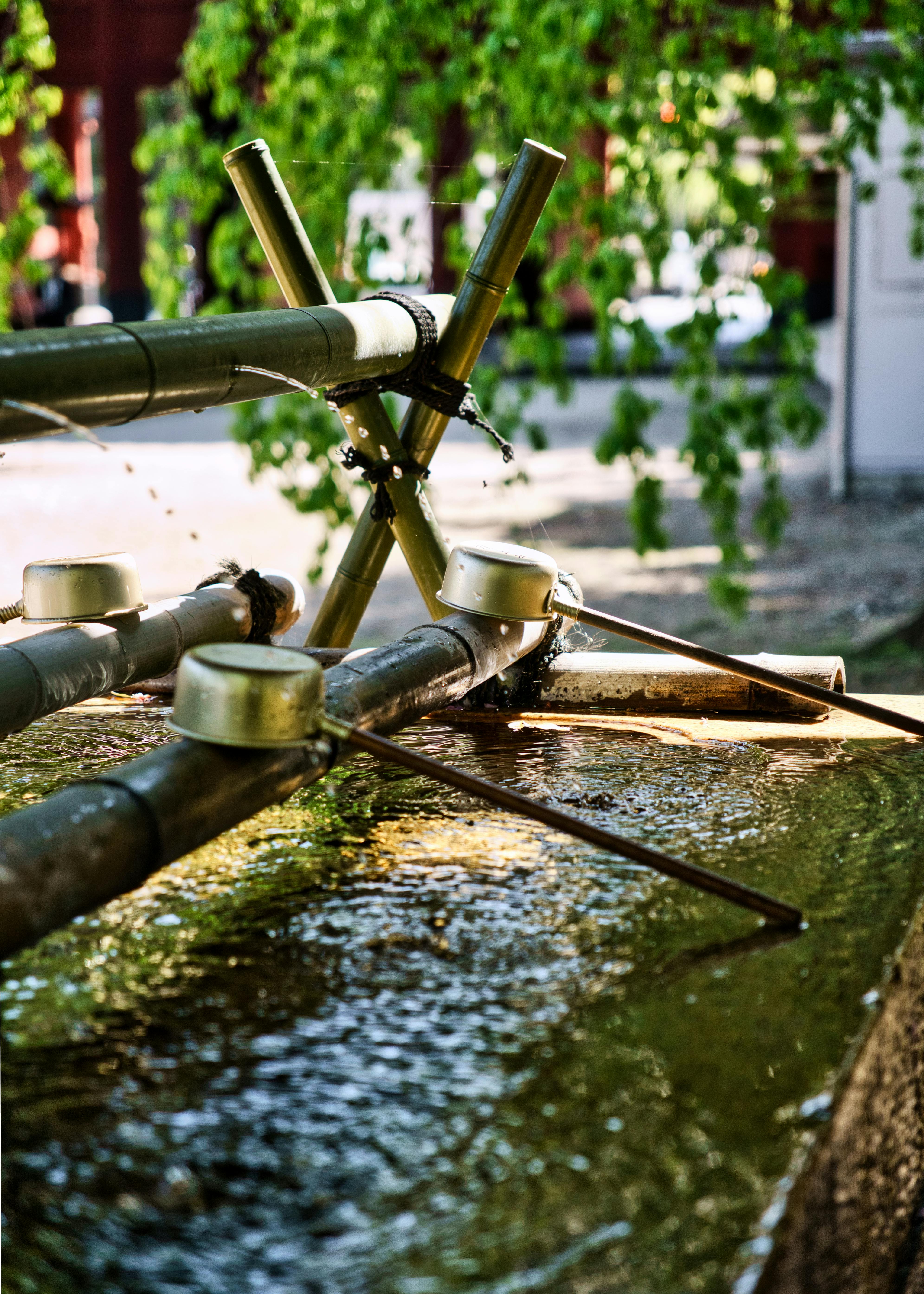 Traditional Japanese Water Purification Fountain · Free Stock Photo