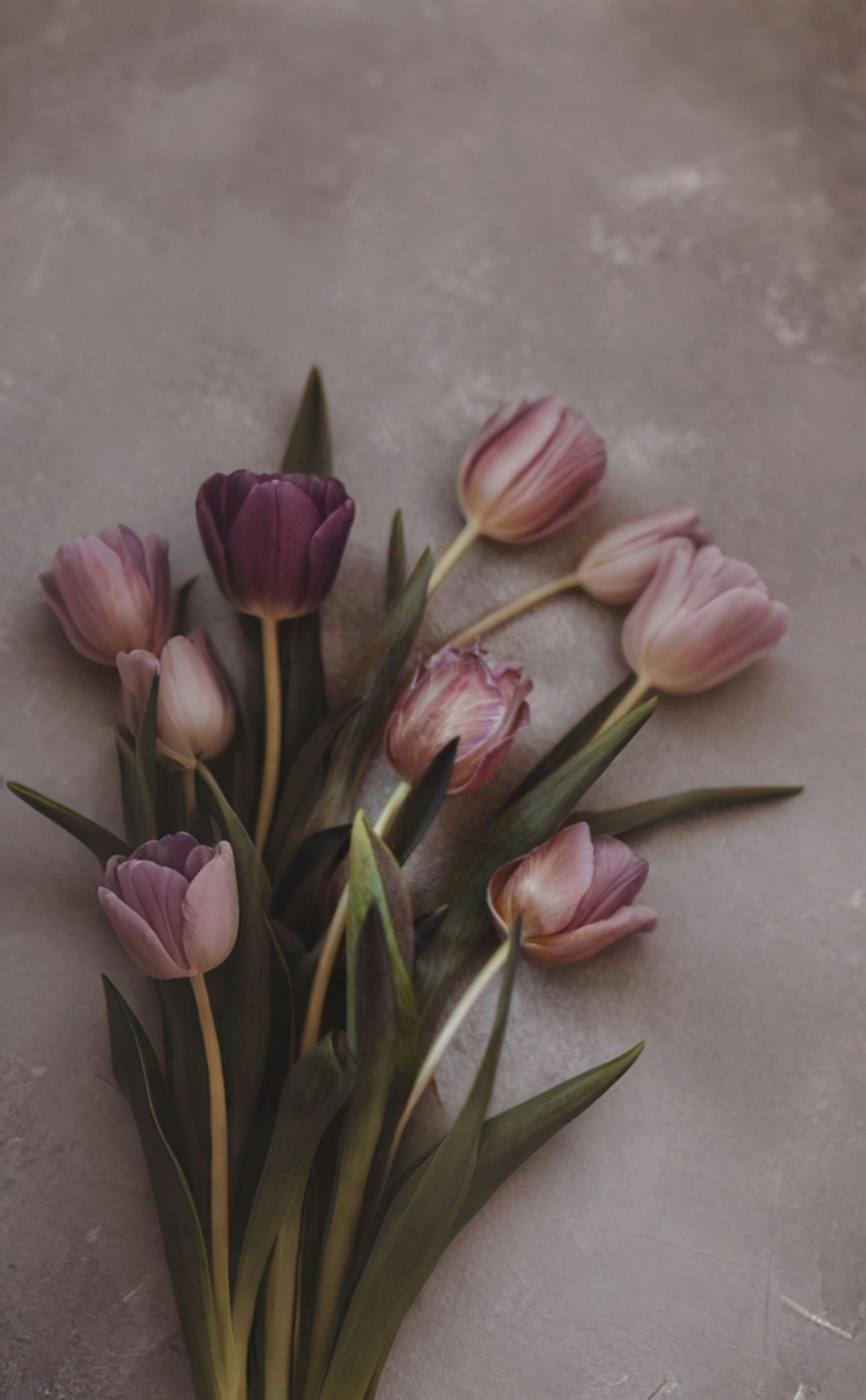 Soft Nature Background Photos, Download The BEST Free Soft Nature ...