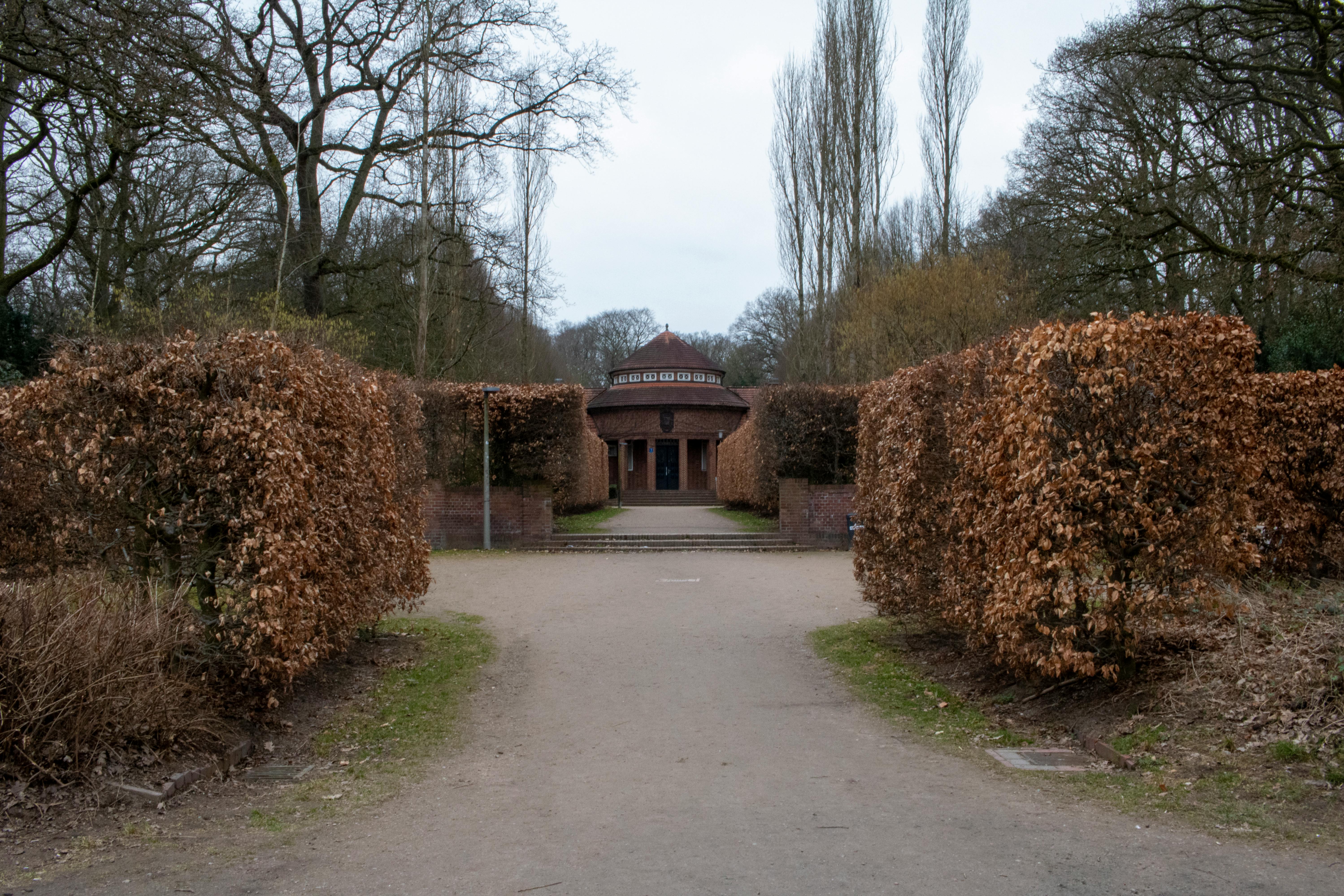 Hedge-Lined Pathway in Hamburg City Park · Free Stock Photo
