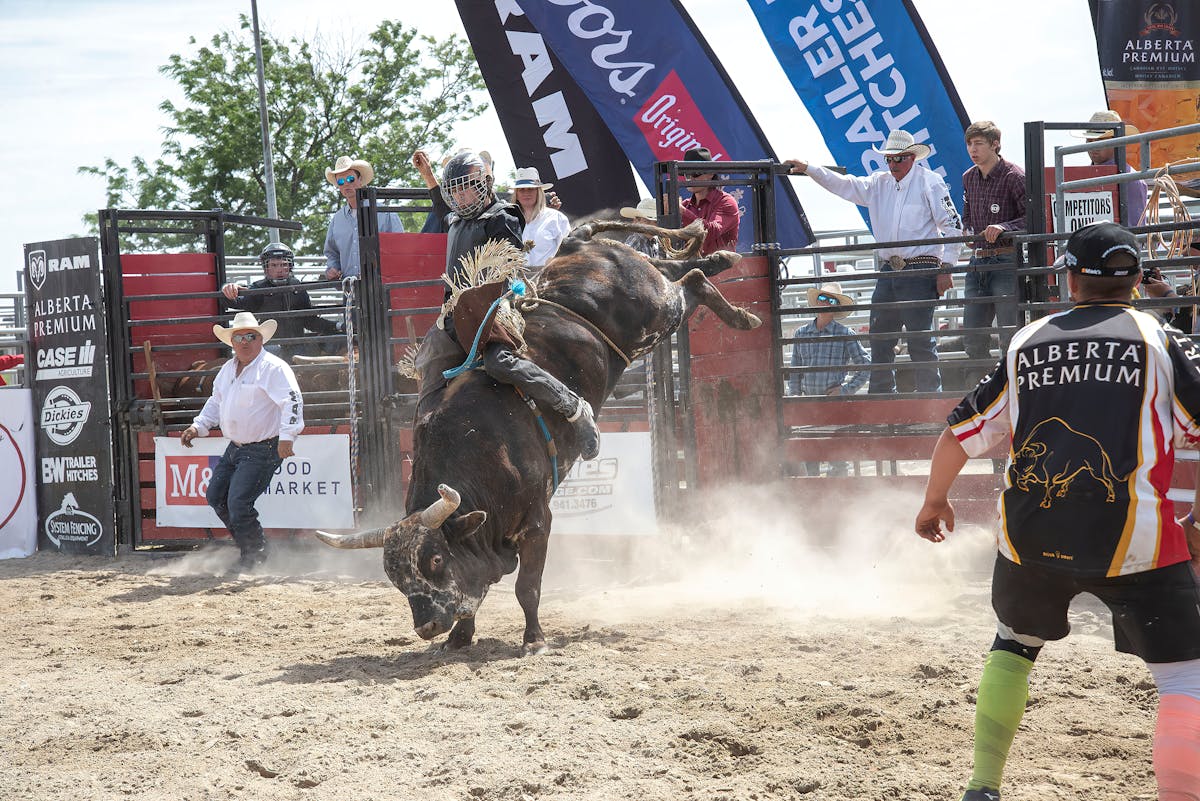 Bull Riding Photos, Download The BEST Free Bull Riding Stock Photos ...