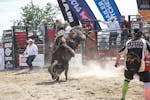 Bull Riding Photos, Download The BEST Free Bull Riding Stock Photos ...