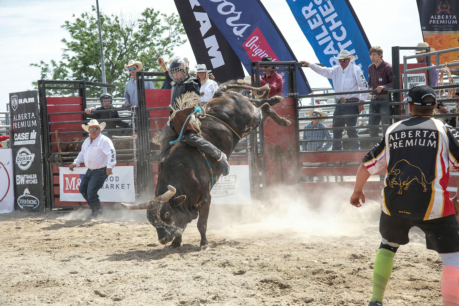 Bull Riding Photos, Download The BEST Free Bull Riding Stock Photos ...