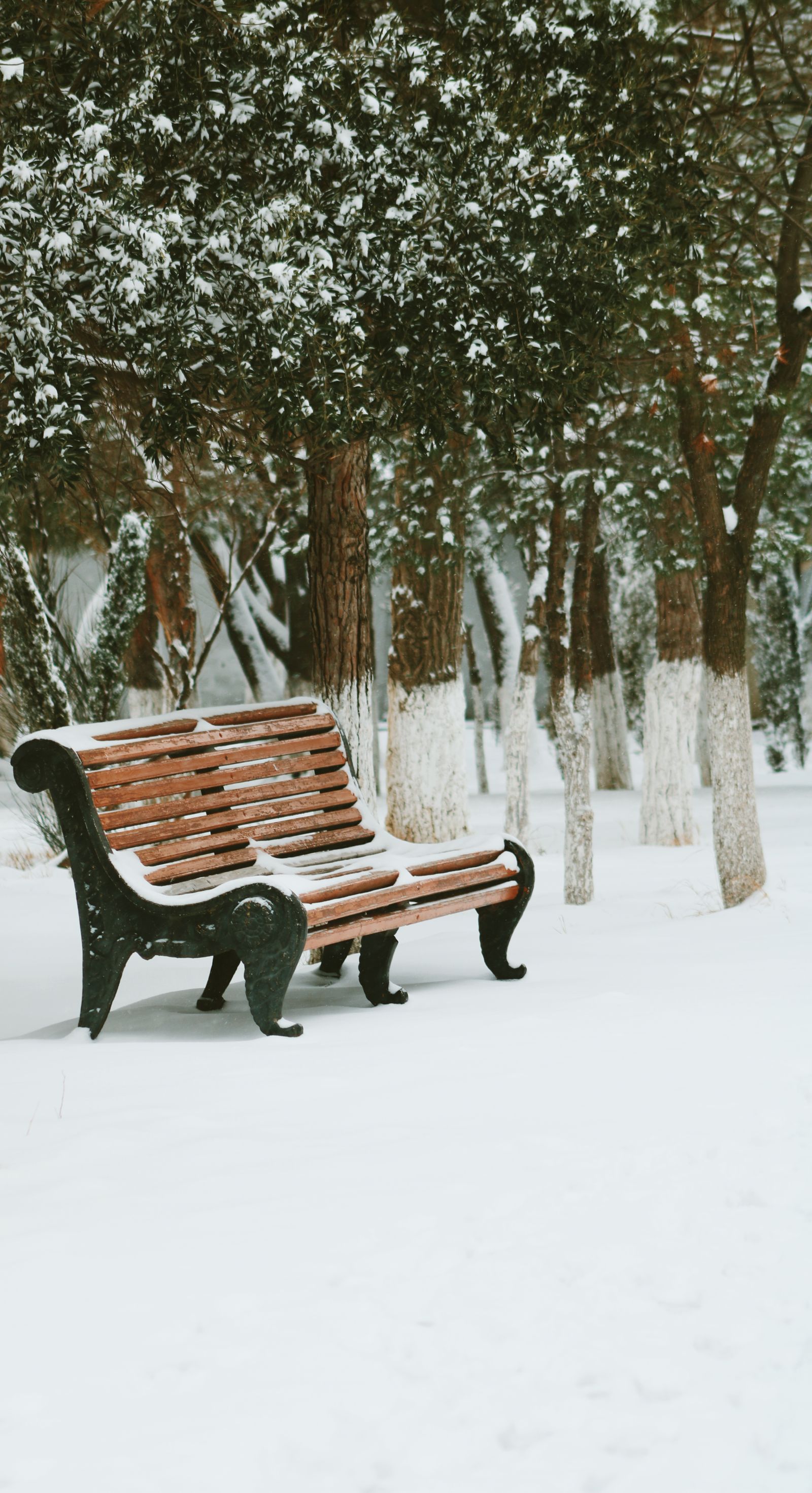 Happy+Thursday+Winter+Images Photos, Download The BEST Free Happy ...