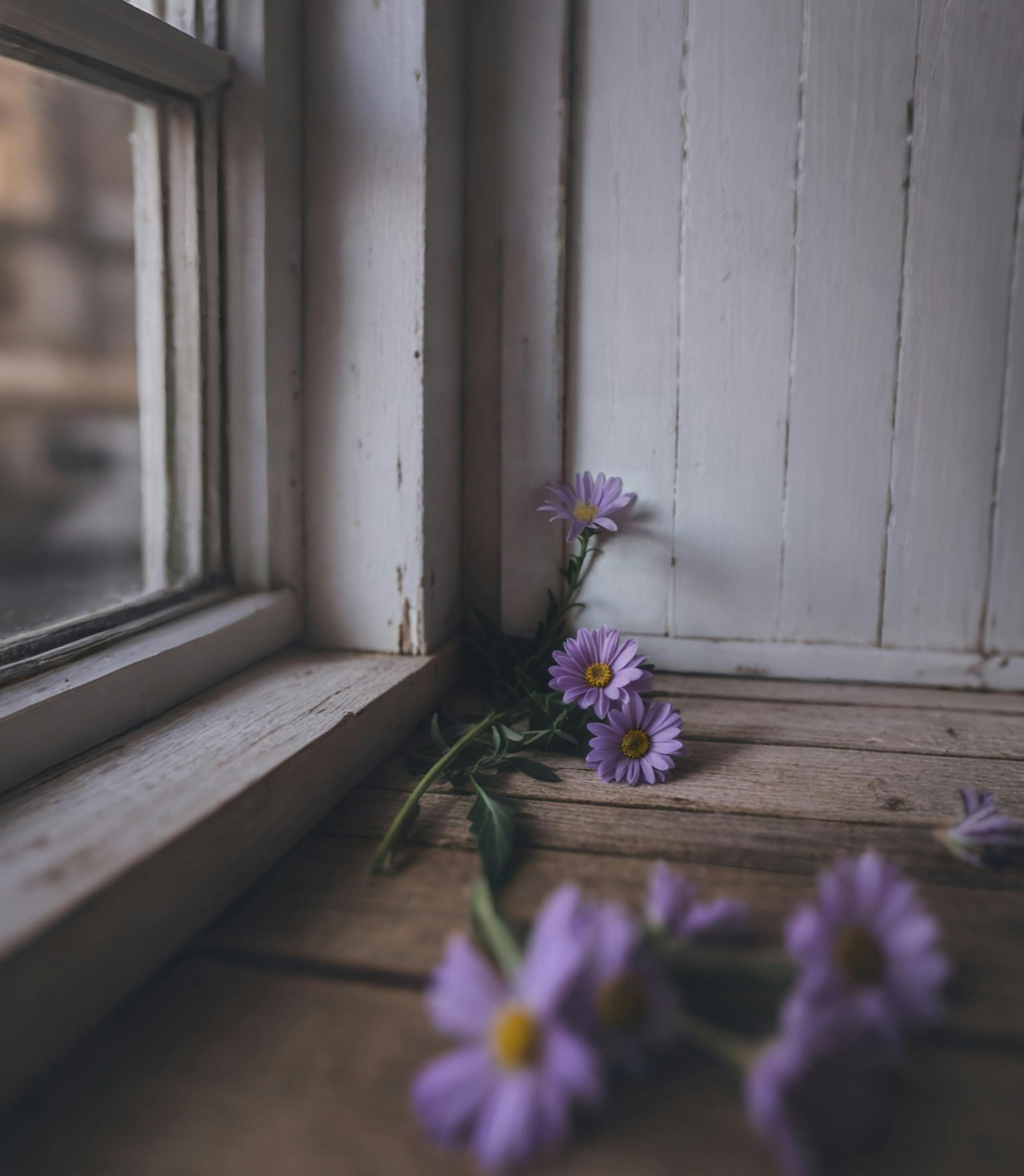 Rustic Window Sill with Purple Flowers · Free Stock Photo