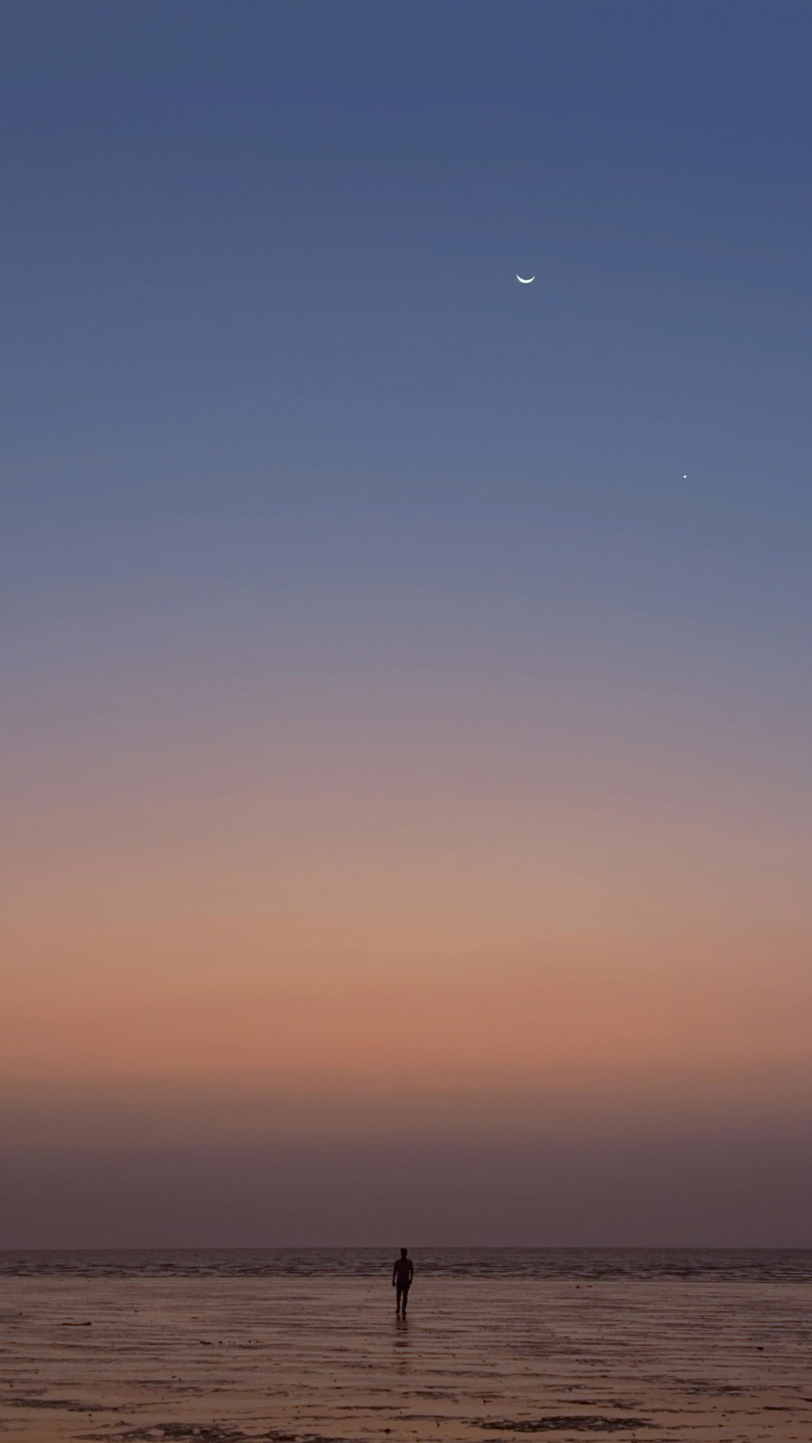 Batman Moon Photos, Download The BEST Free Batman Moon Stock Photos ...