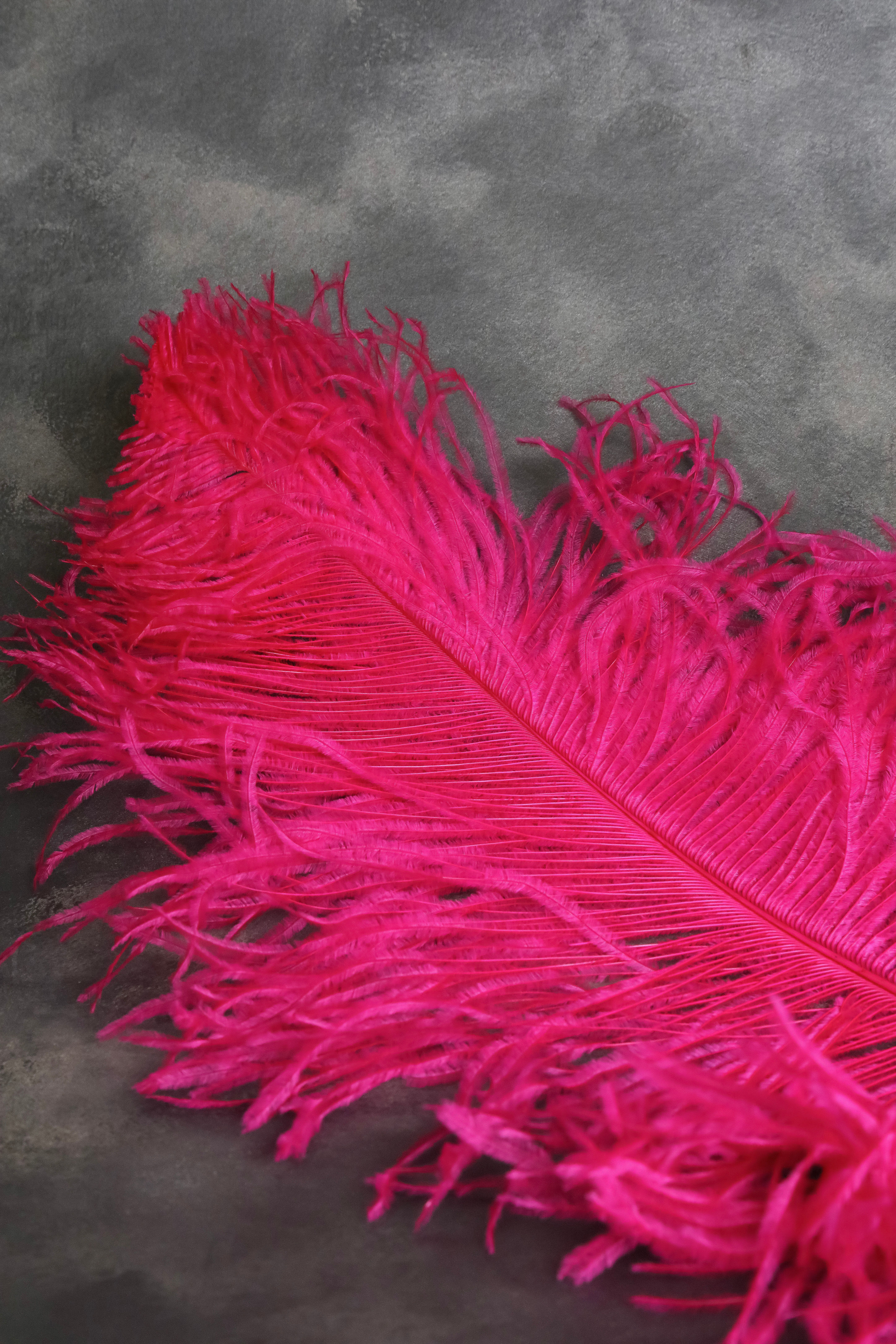 Fuchsia Texture Background Photos, Download The BEST Free Fuchsia ...
