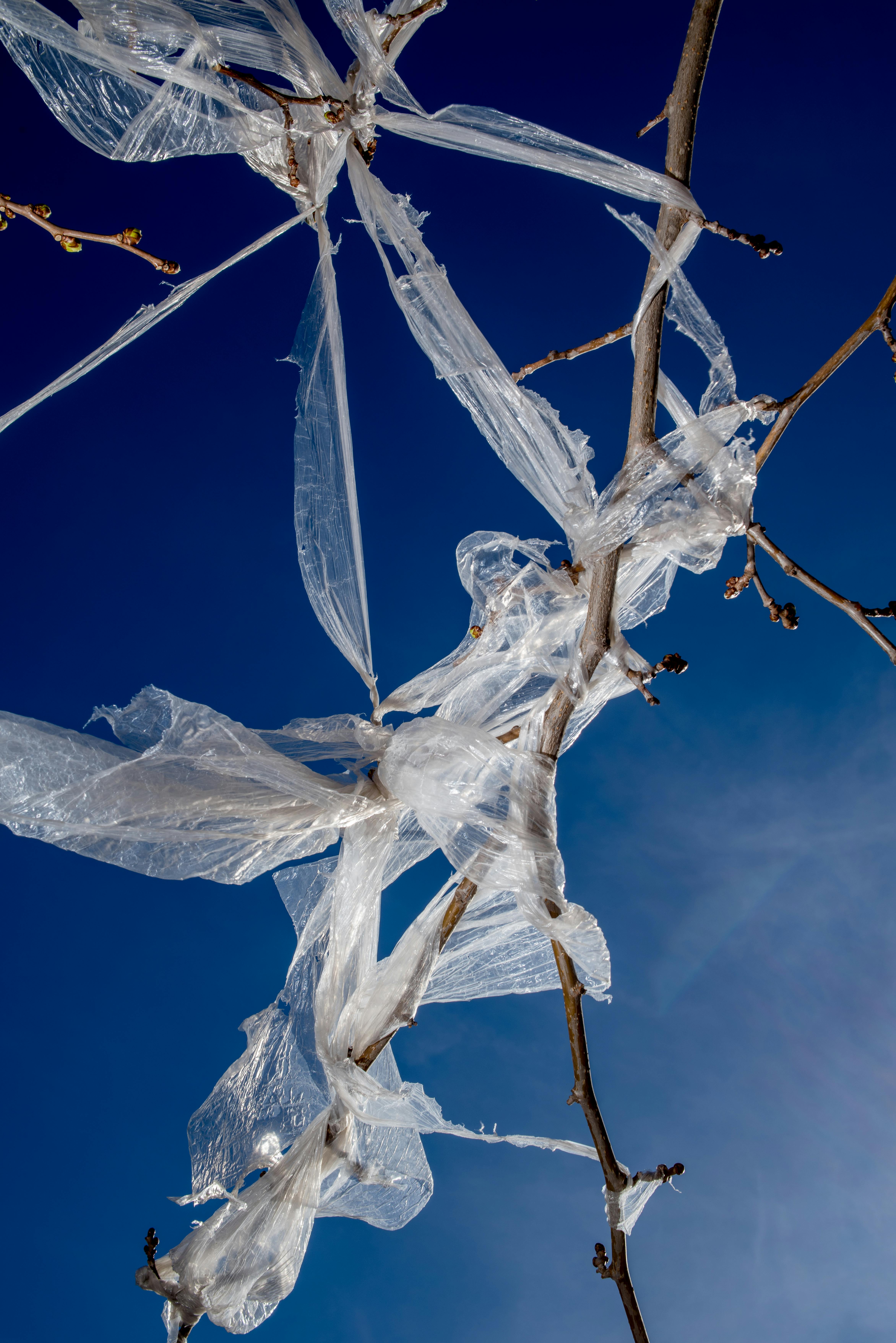 Sustainability Blue Photos, Download The BEST Free Sustainability Blue ...