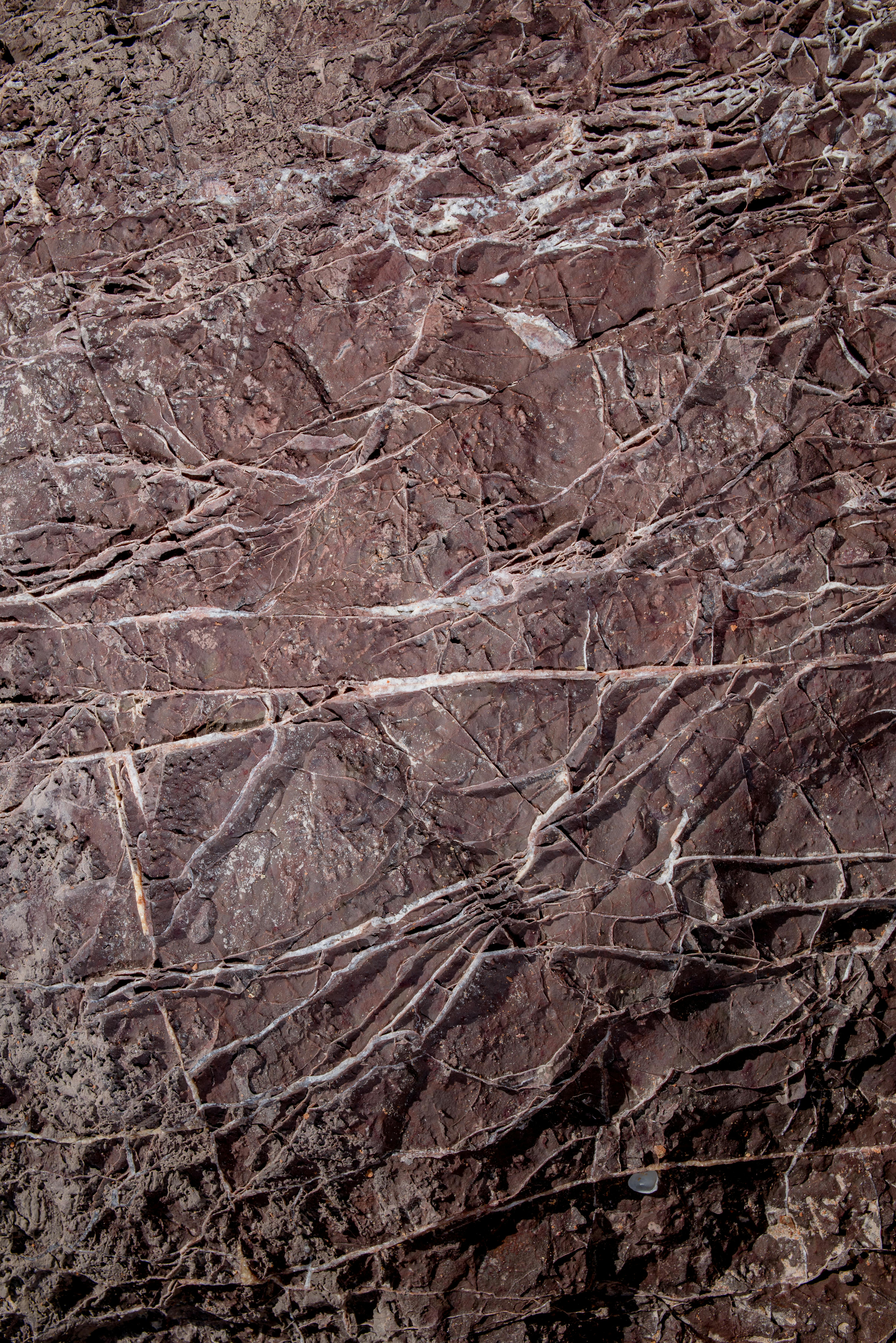 Natural Brown Stone Texture with Veins · Free Stock Photo
