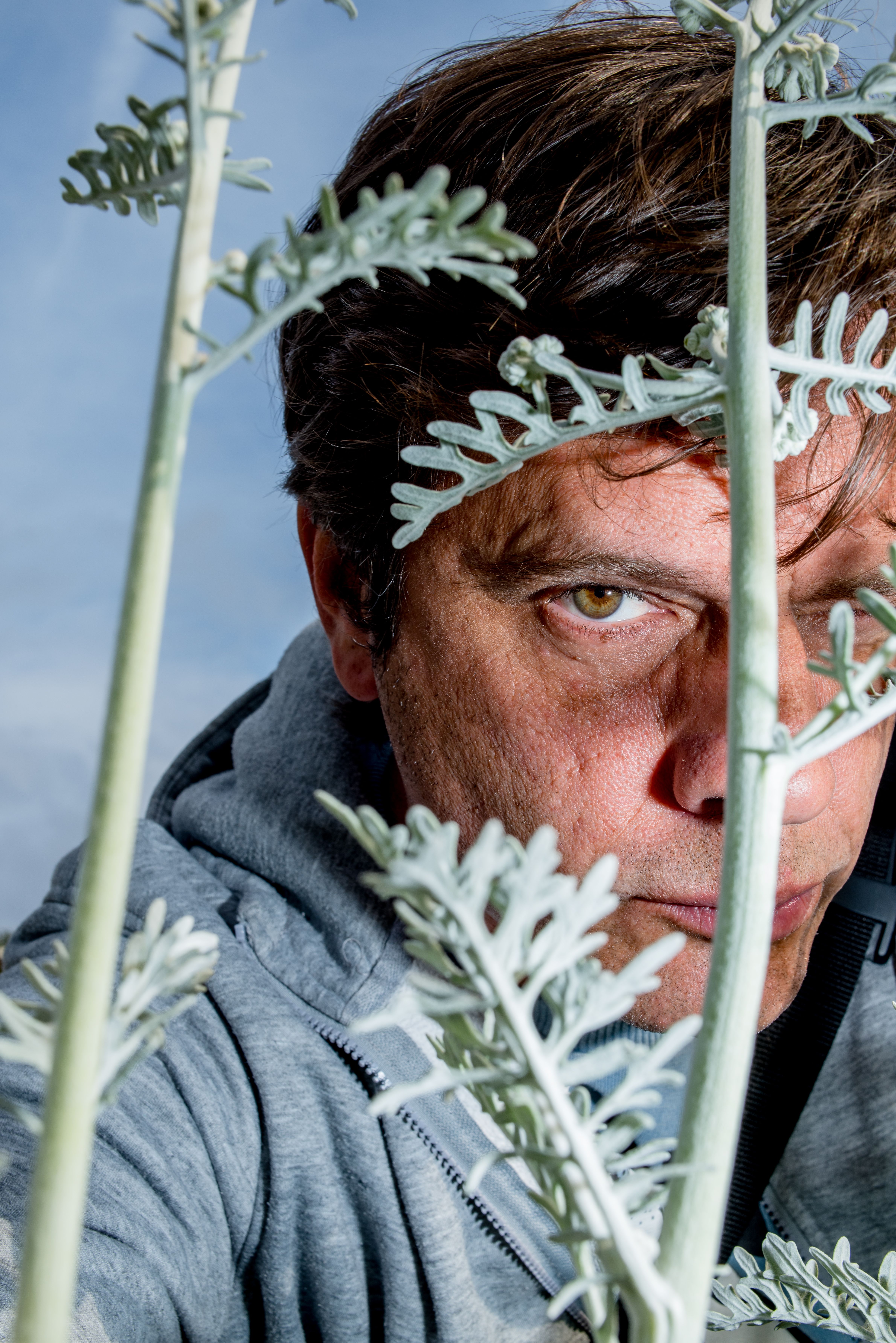 Man Behind Foliage with Intense Stare · Free Stock Photo