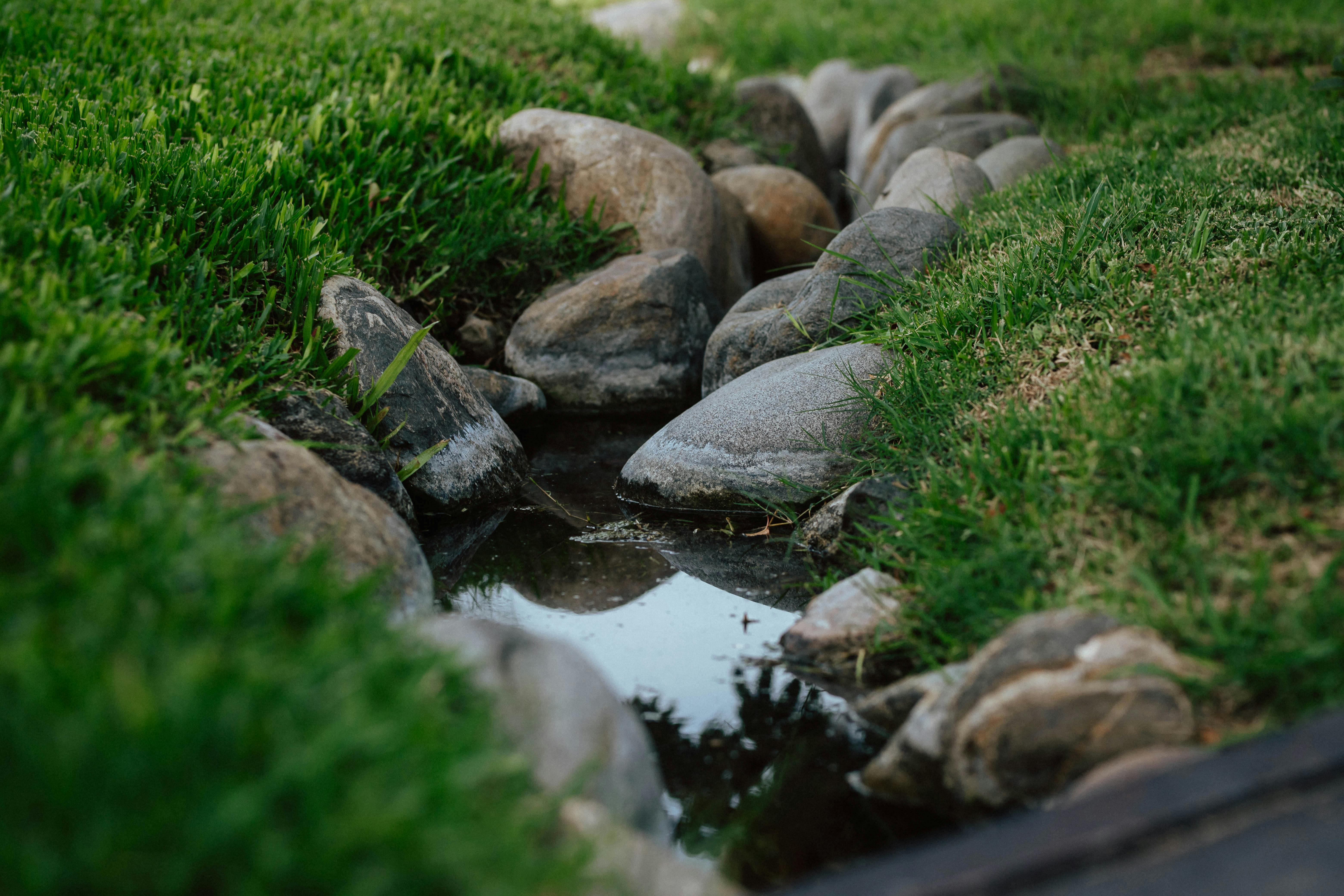 Tranquil Stream with Stones in Buenos Aires Park · Free Stock Photo