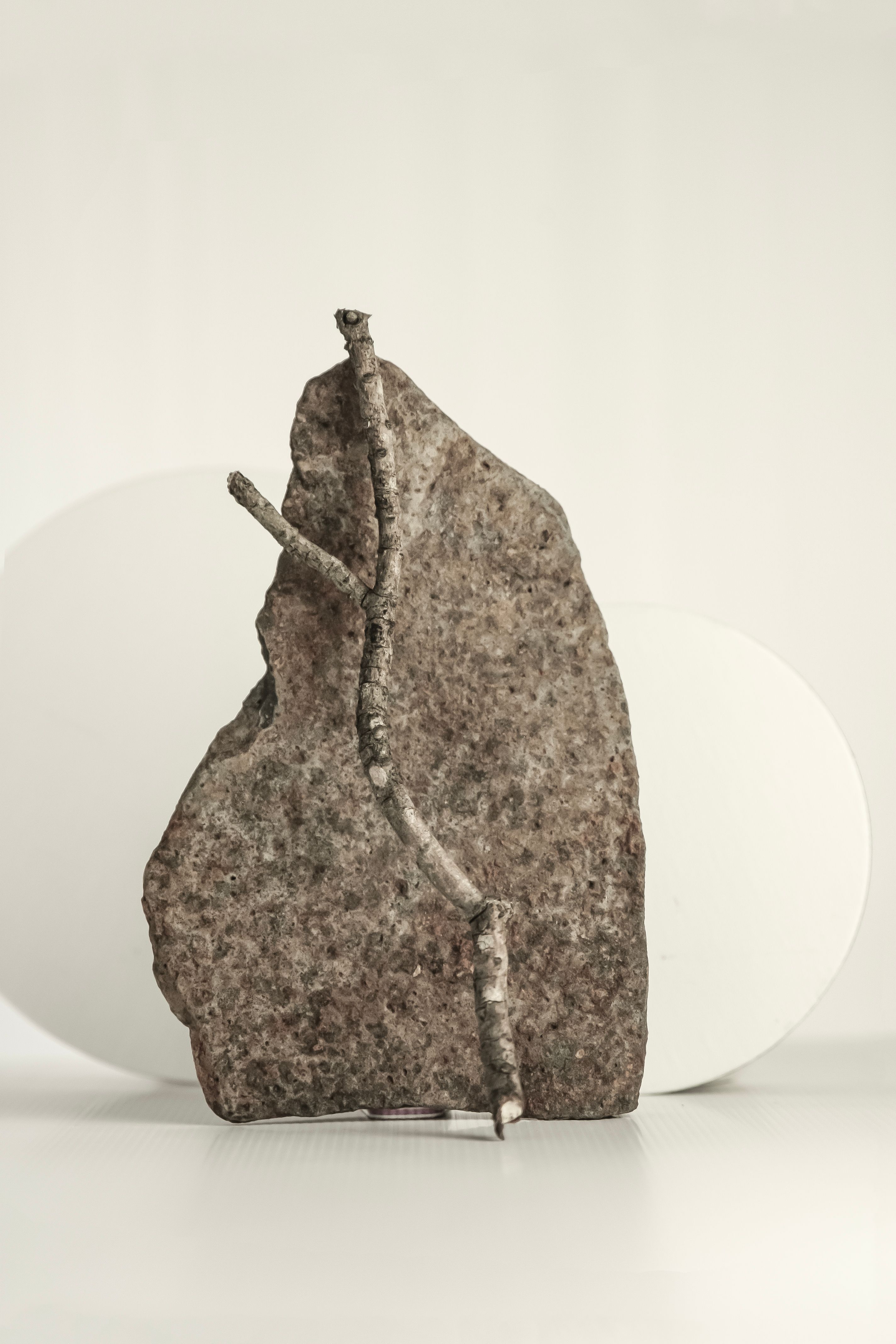 Minimalist Rock and Branch Composition Art · Free Stock Photo