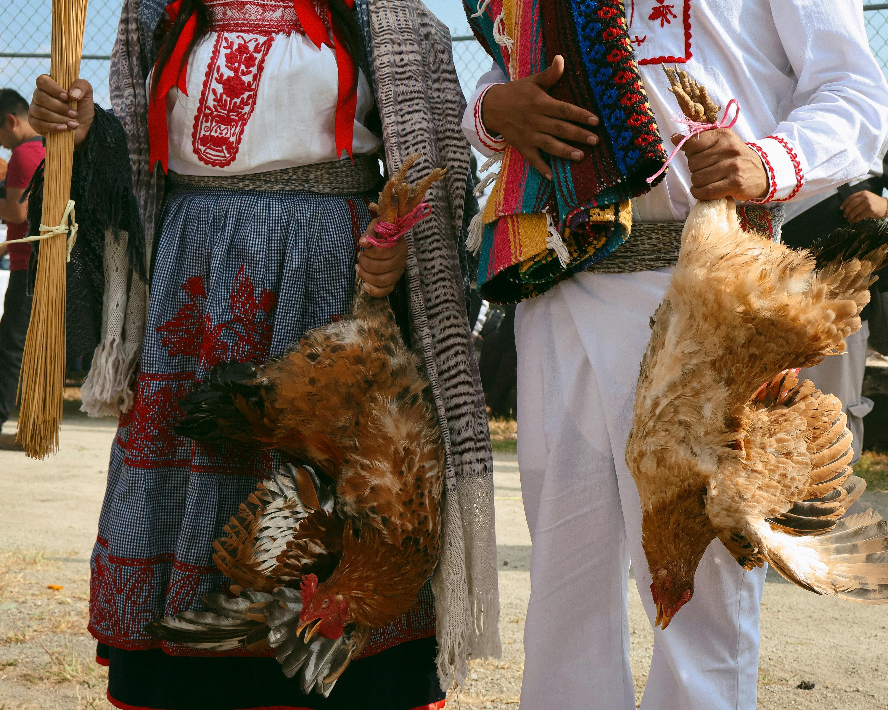 Traditional Mexican Attire and Rituals in Puebla · Free Stock Photo