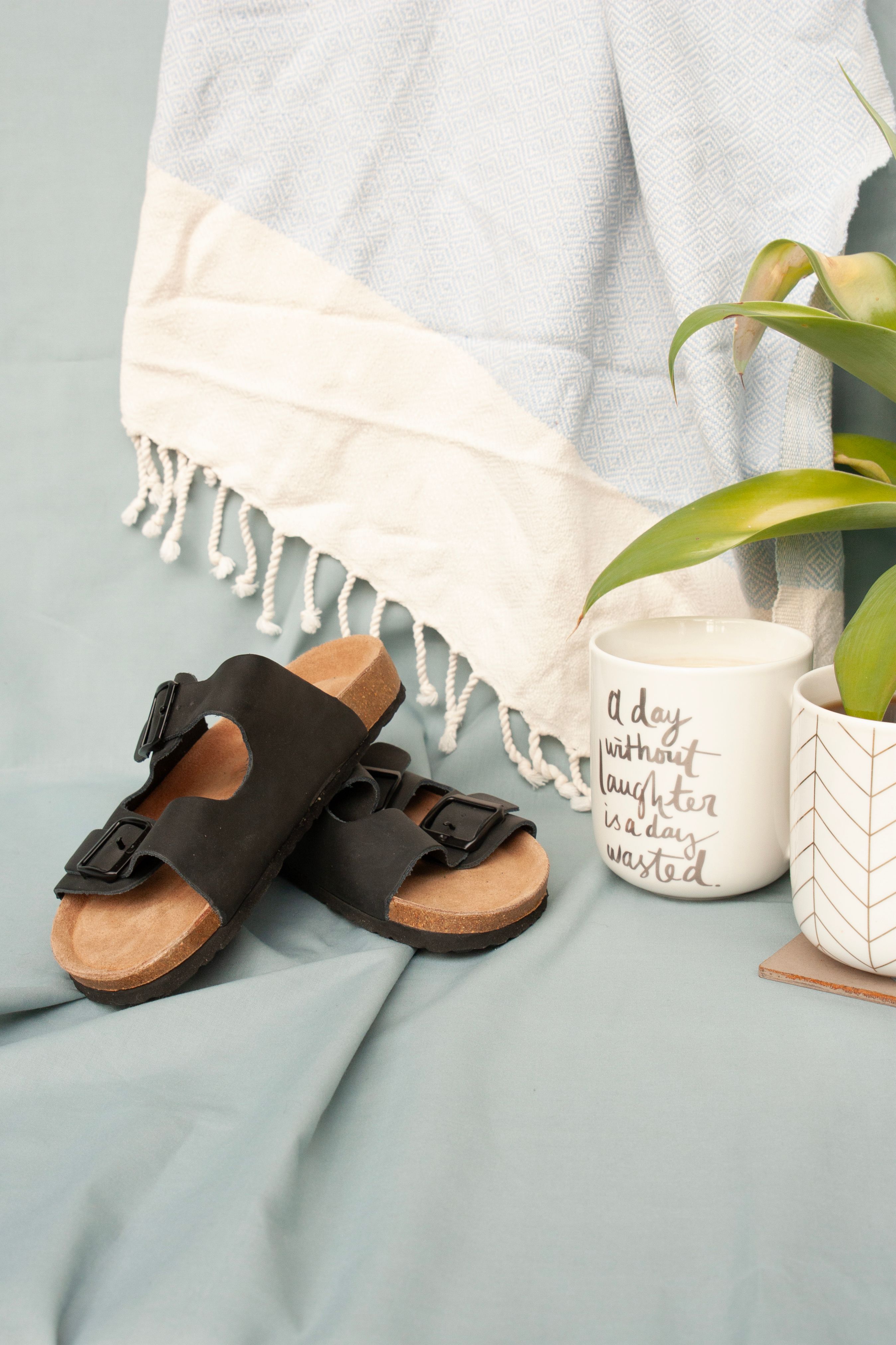 Comfortable Home Relaxation Essentials Display · Free Stock Photo