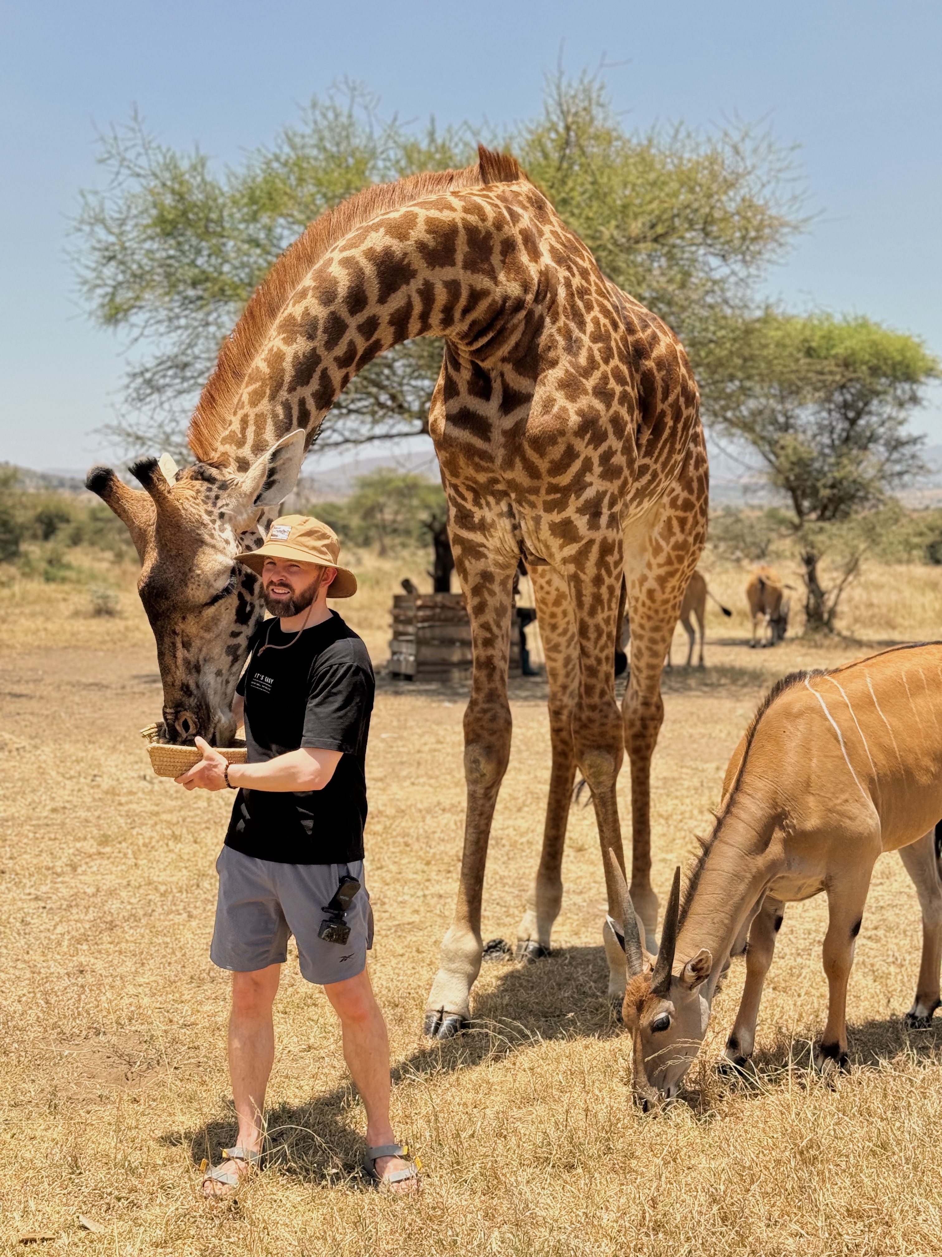 Man Feeding Giraffe and Antelope in Safari Park · Free Stock Photo