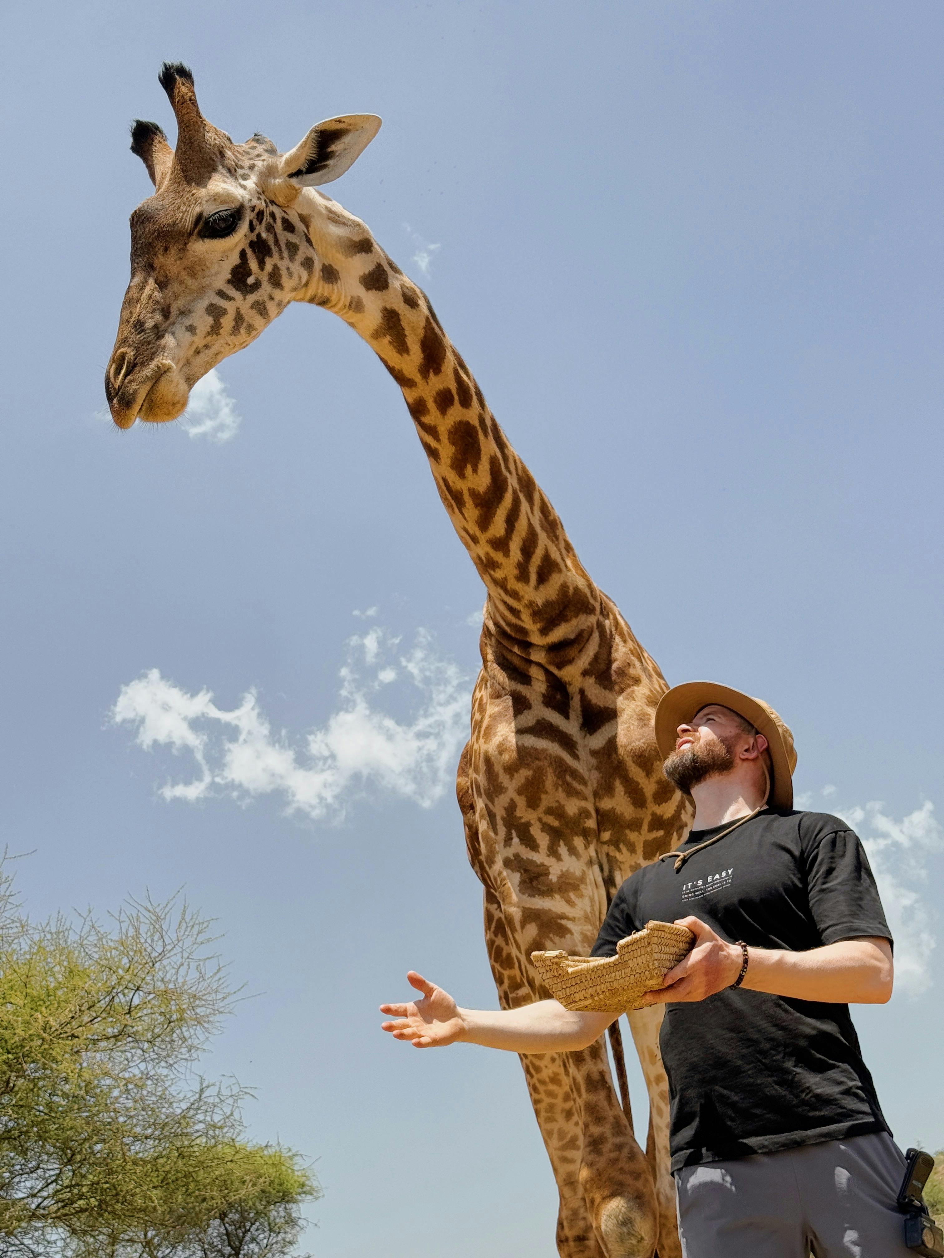 Man Feeding Giraffe Under Clear Blue Sky · Free Stock Photo