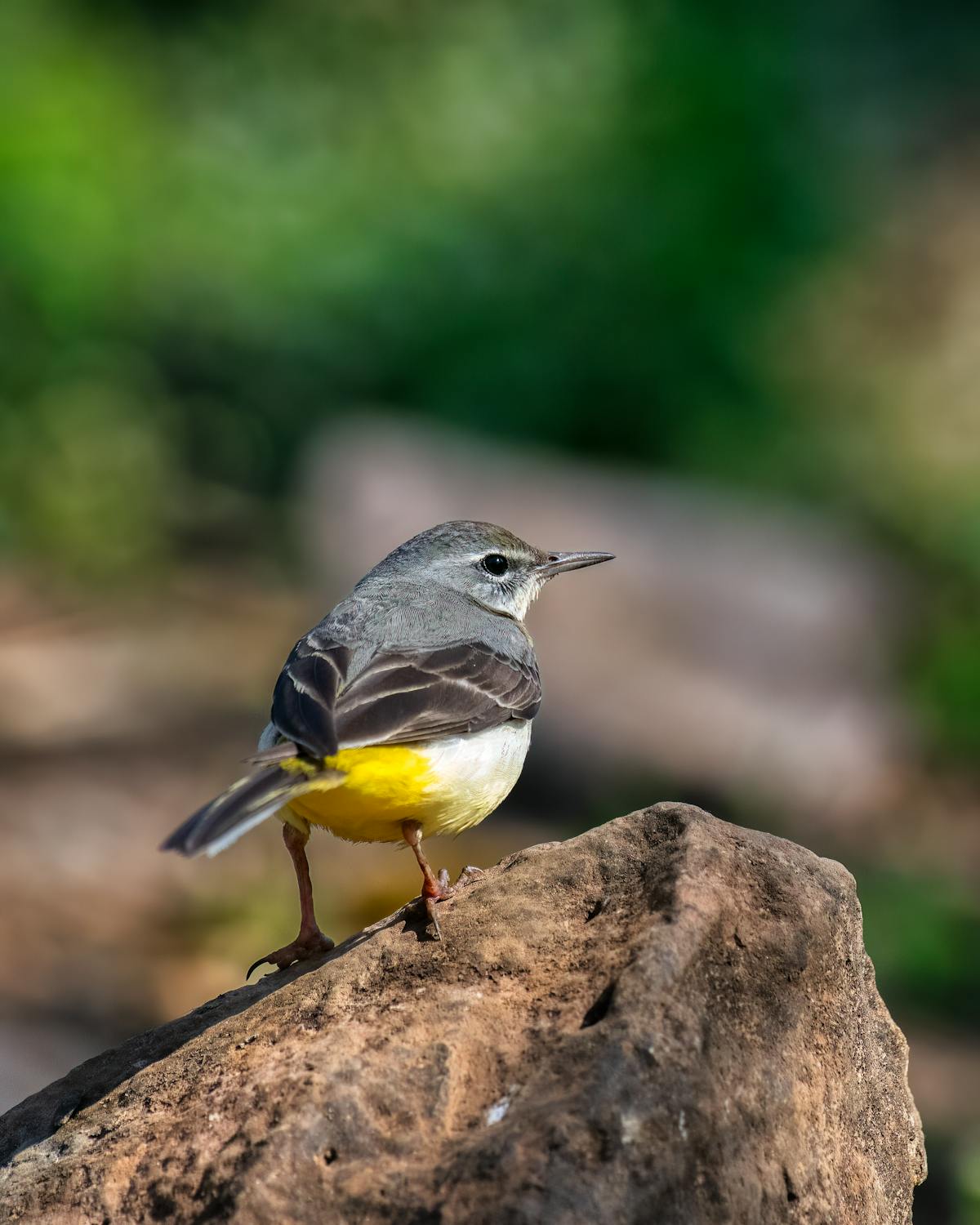 Free Pix Photos, Download The BEST Free Free Pix Stock Photos & HD Images