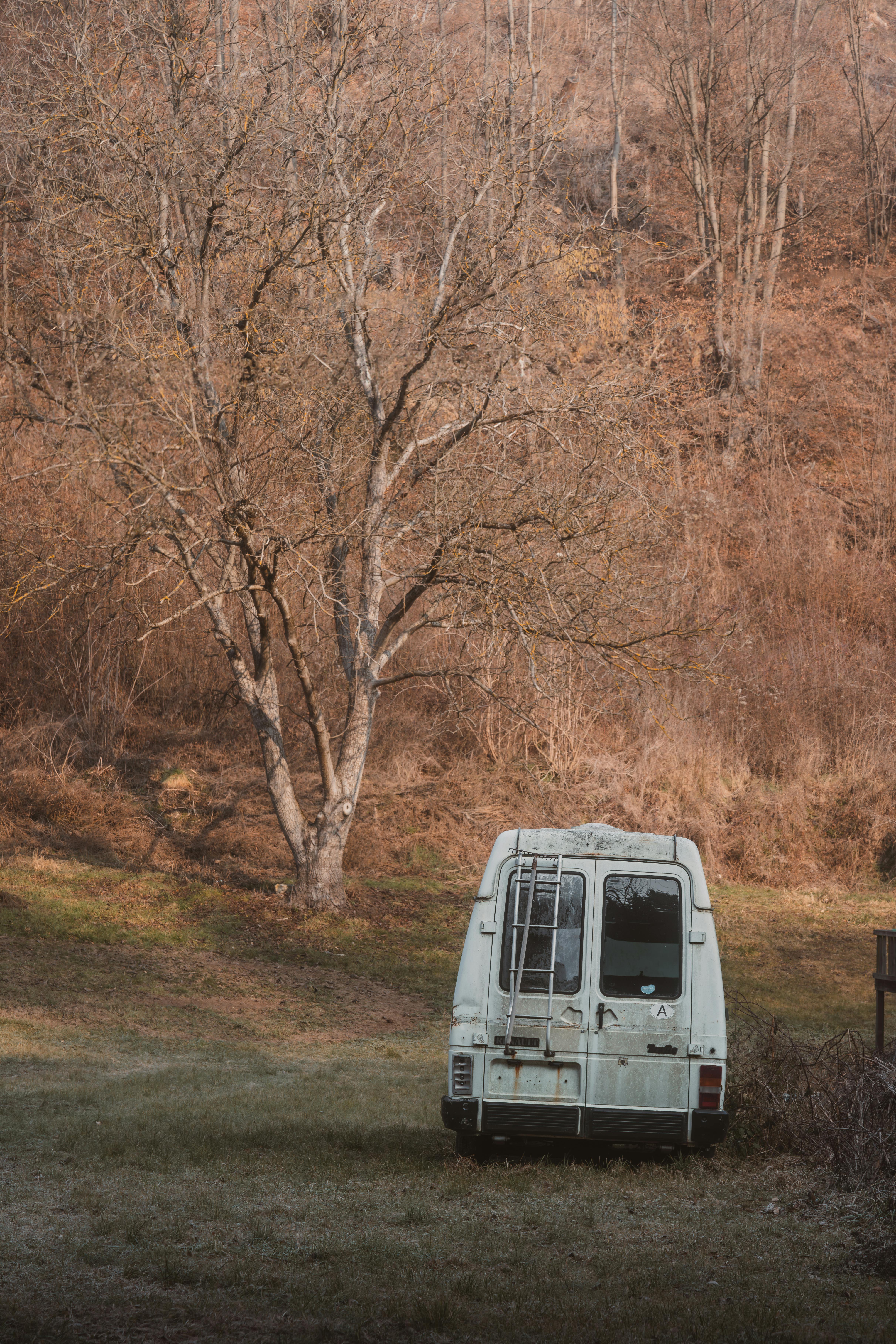 Vintage Van in Tranquil Autumn Landscape · Free Stock Photo