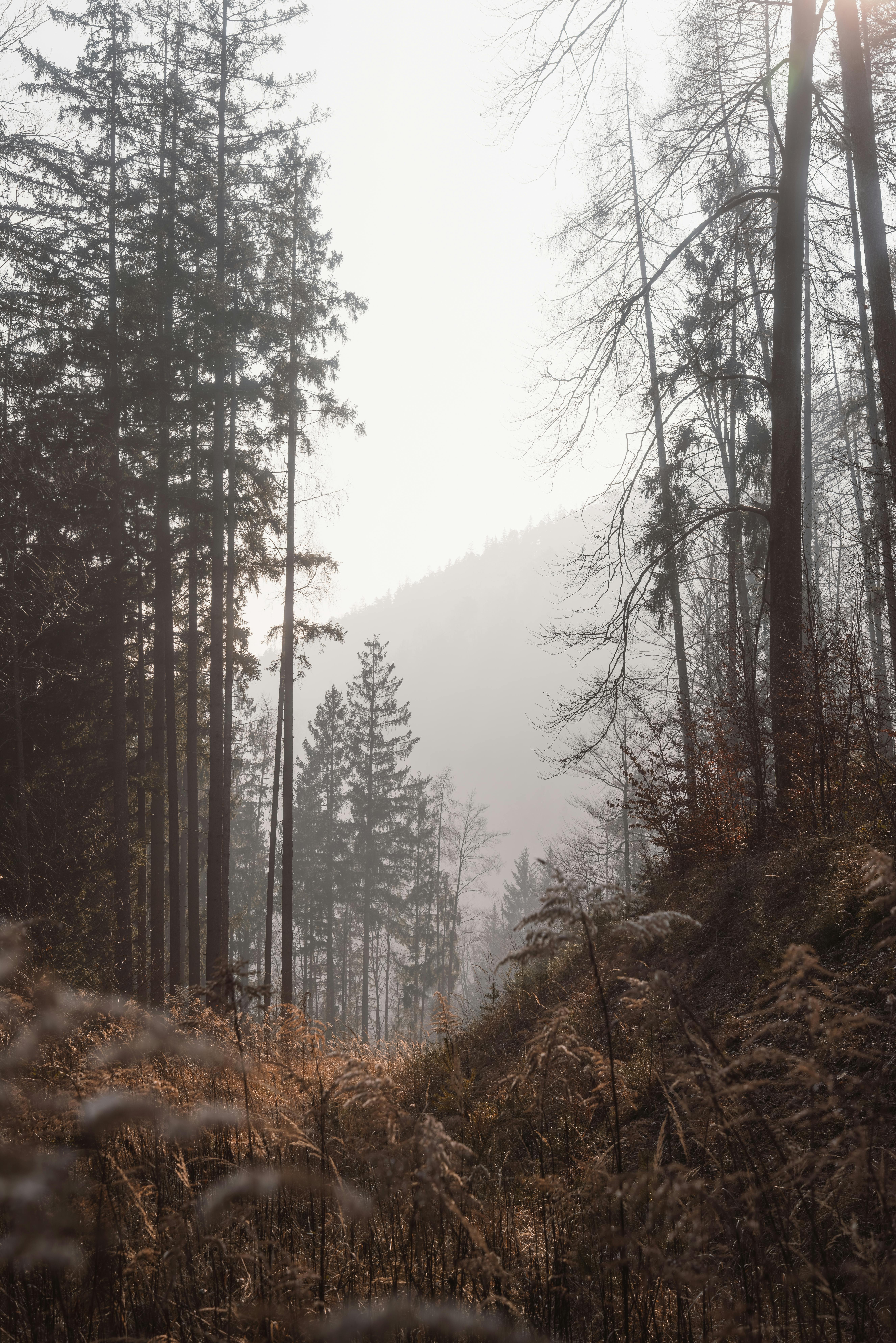 Drippy Wallpaper 4k Photos, Download The BEST Free Drippy Wallpaper 4k ...